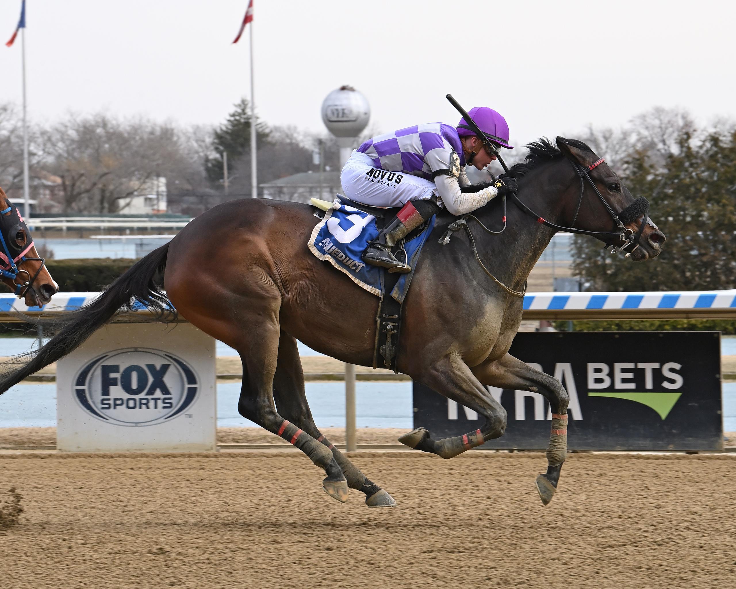 Timeless Journey strong in Biogio’s Rose for first stakes score - Past ...