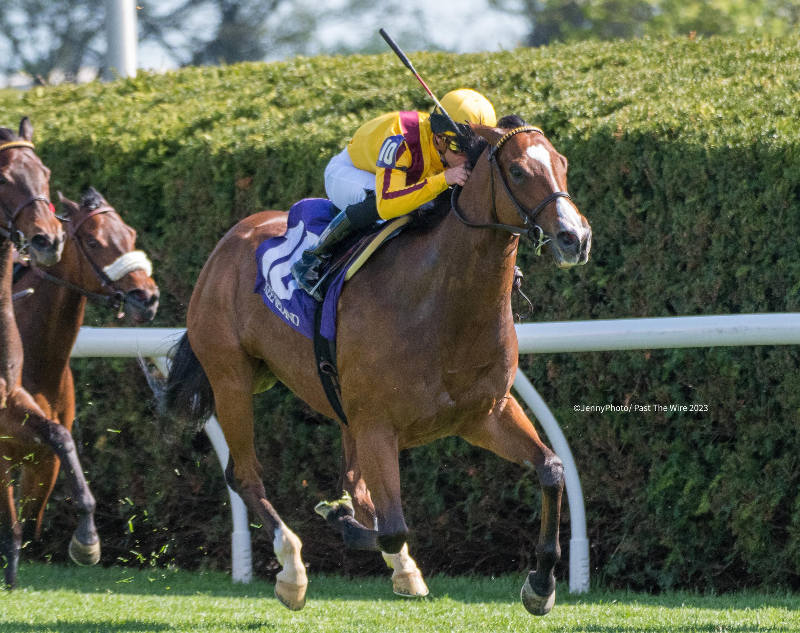 Twilight Gleaming Coasts to Giant’s Causeway Victory - Past The Wire