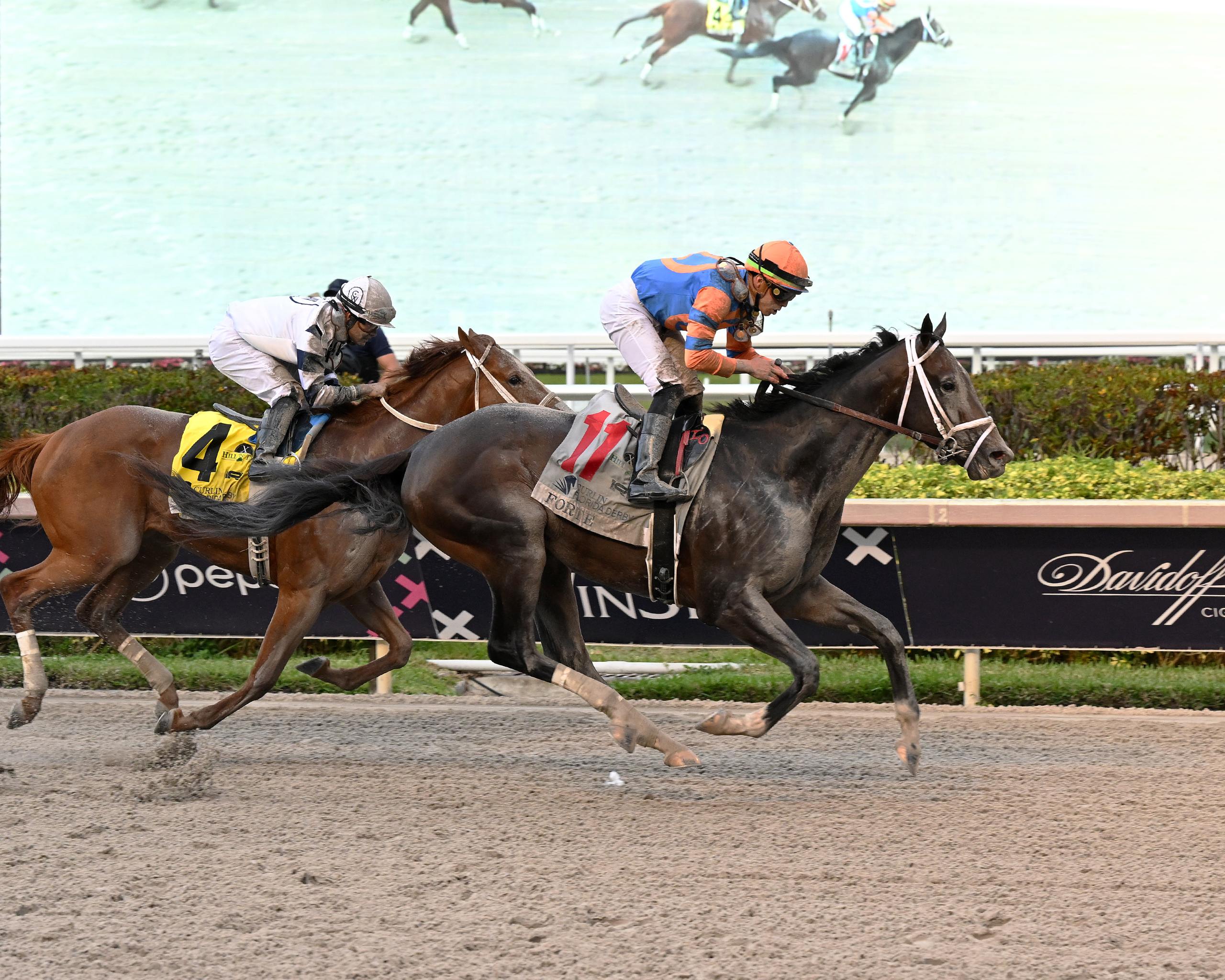 Forte in Good Order After Florida Derby Triumph - Past The Wire