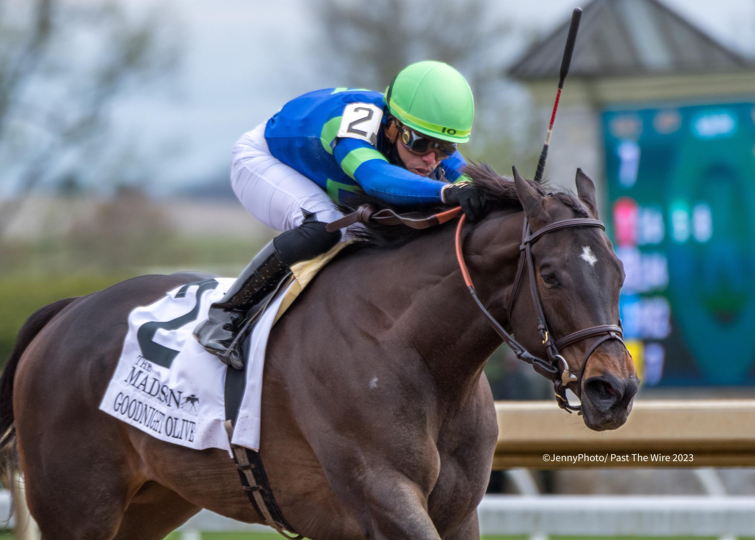 Goodnight Olive Wins Madison in Style - Past The Wire