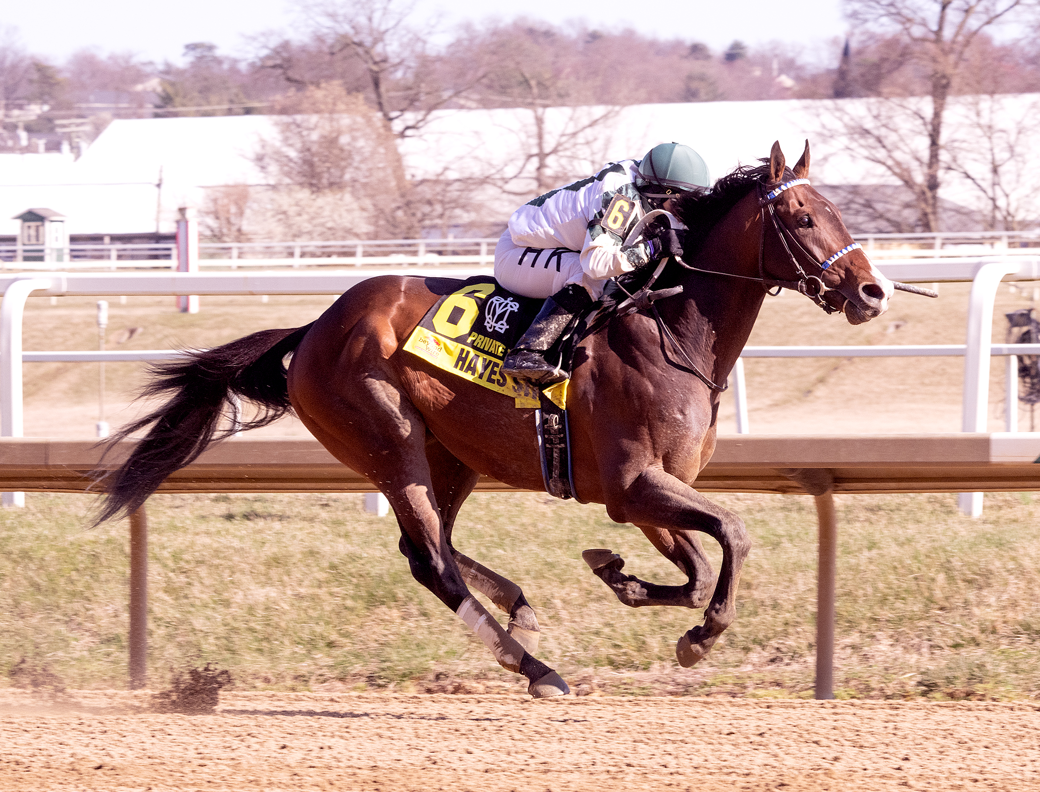 Laurel Winners Hayes Strike, Uncle Jake in Triple Crown Preps - Past ...