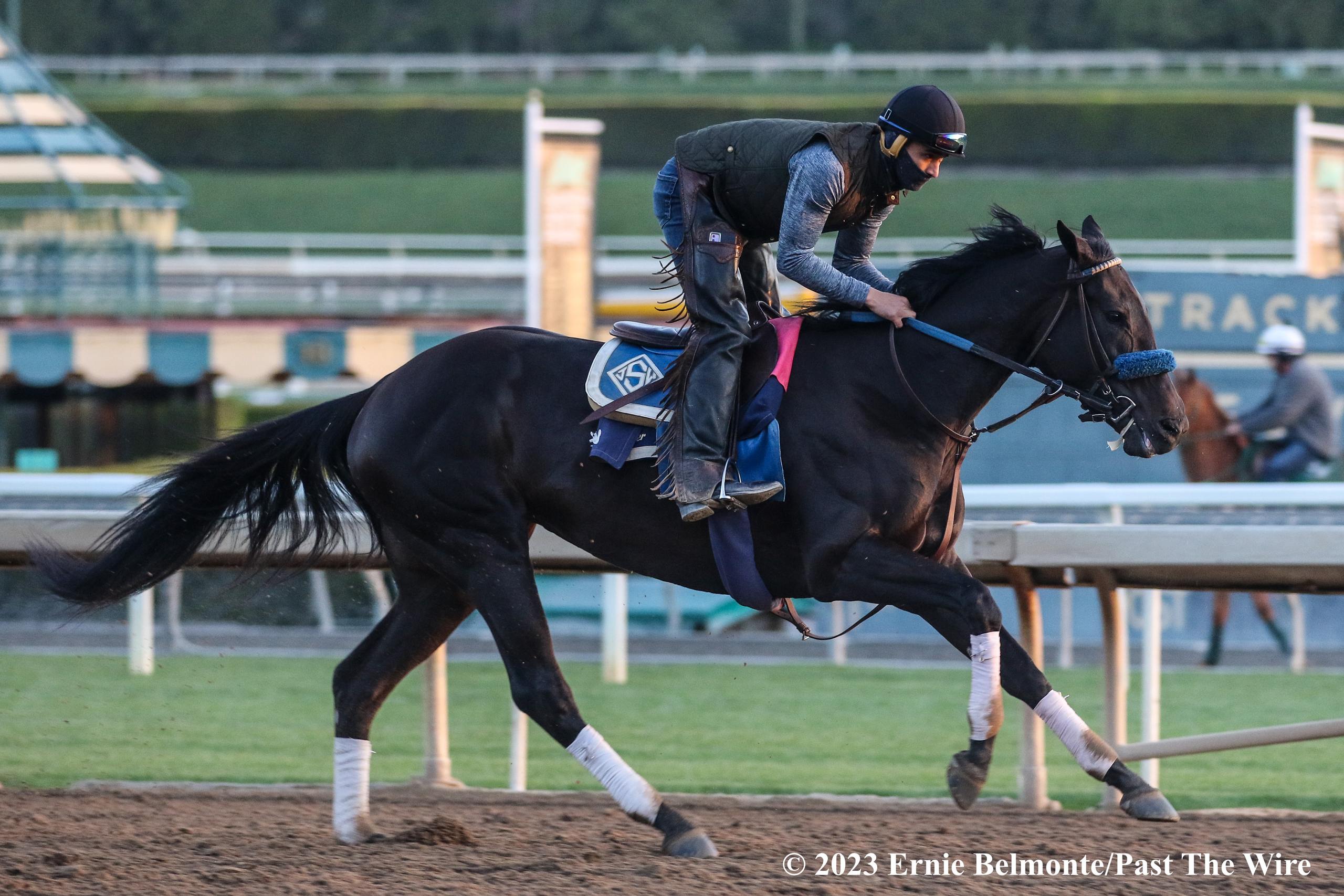 CLUBHOUSE NOTES 4/7/2023 - Past The Wire