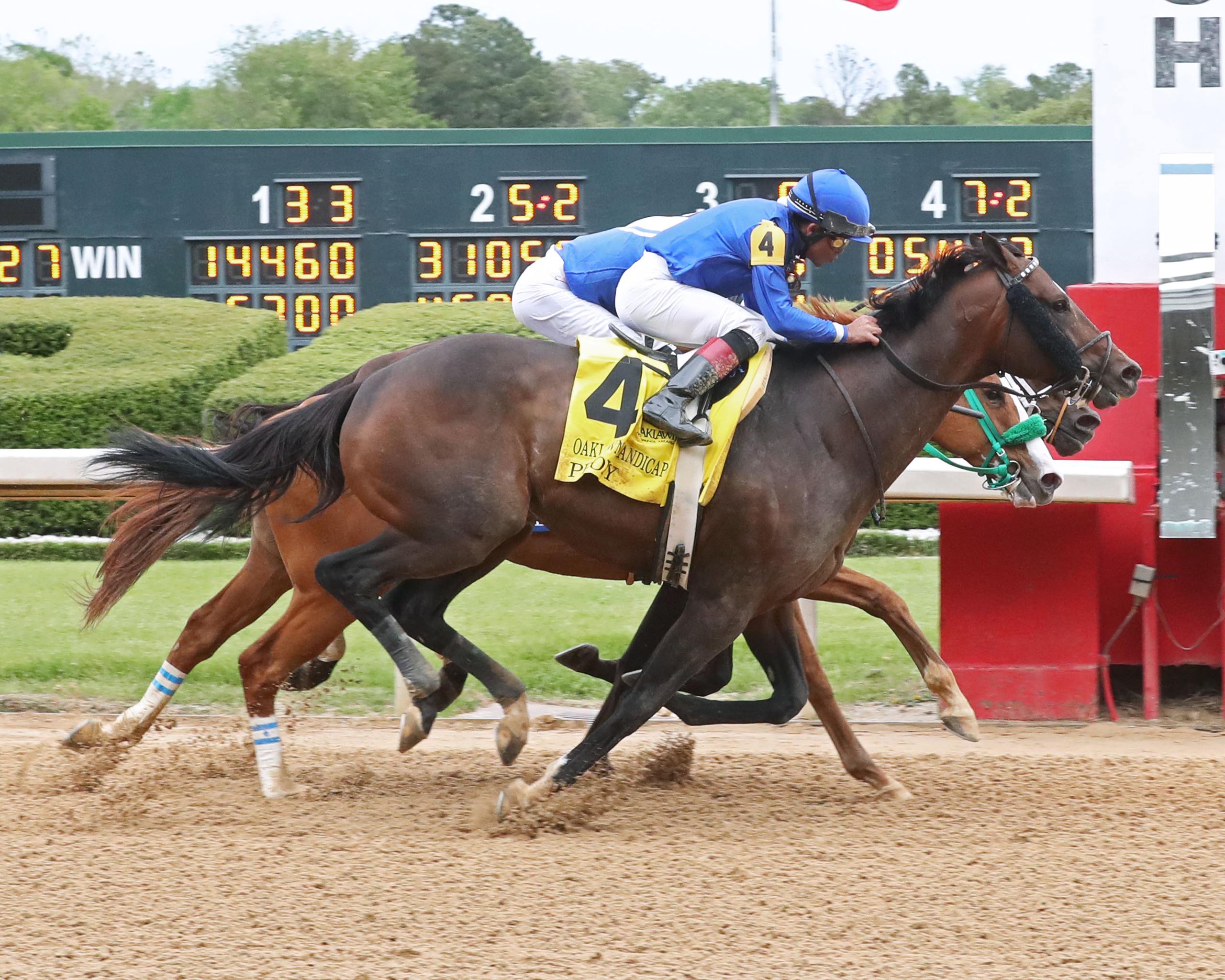 Proxy Wins Hard-fought Oaklawn Handicap - Past The Wire
