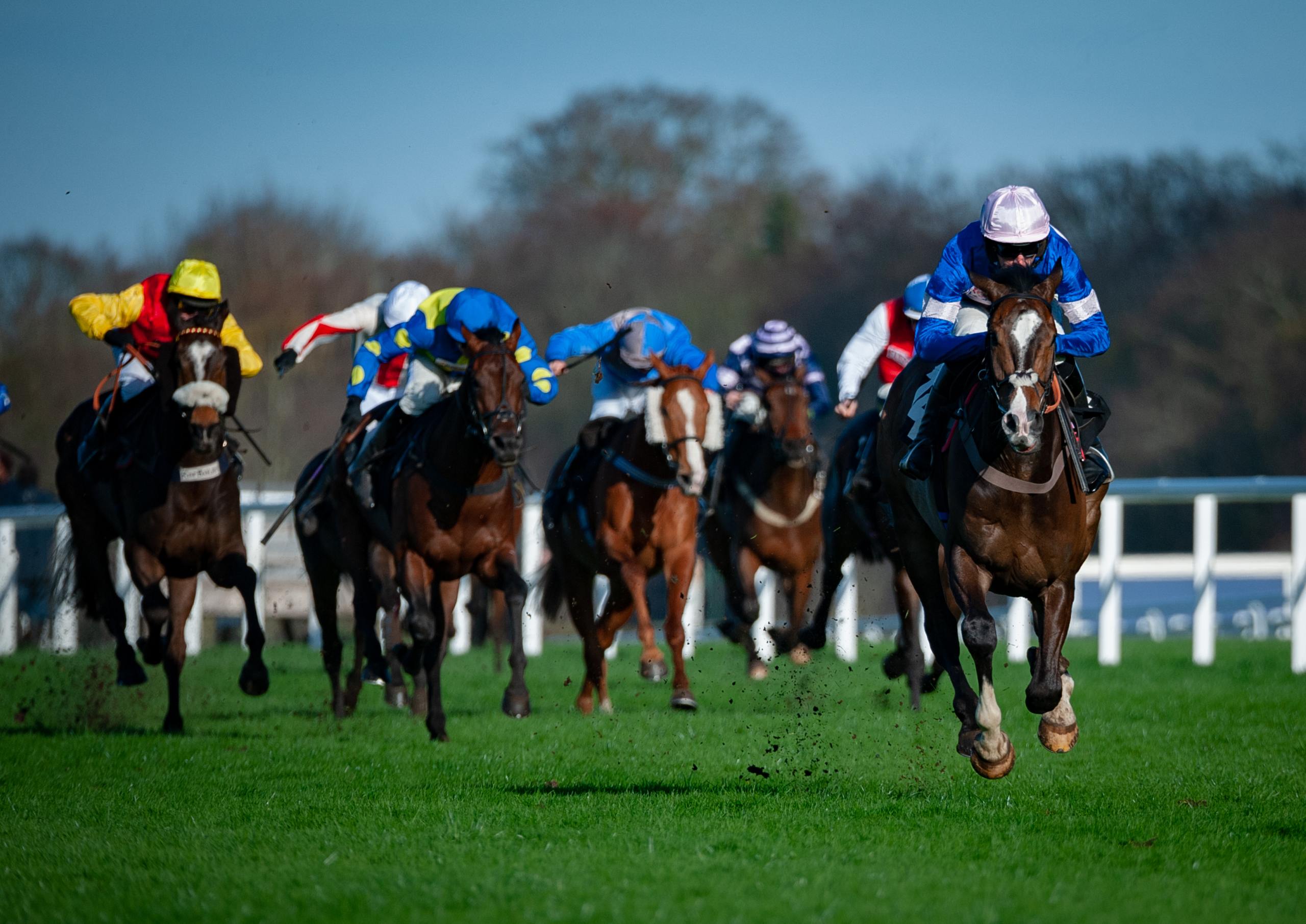 Ascot Concludes Jumps Season With Spring Family Raceday - Past The Wire