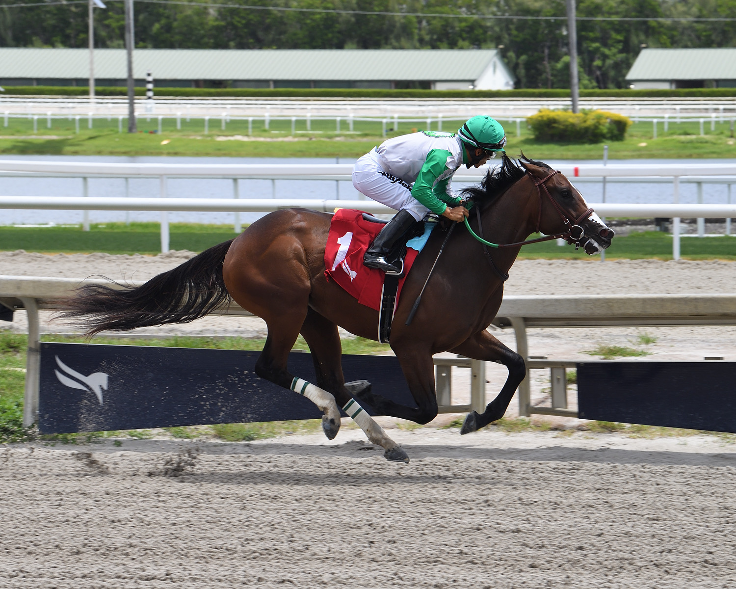 Reaper’s Debut Win at Gulfstream Hardly an Upset - Past The Wire