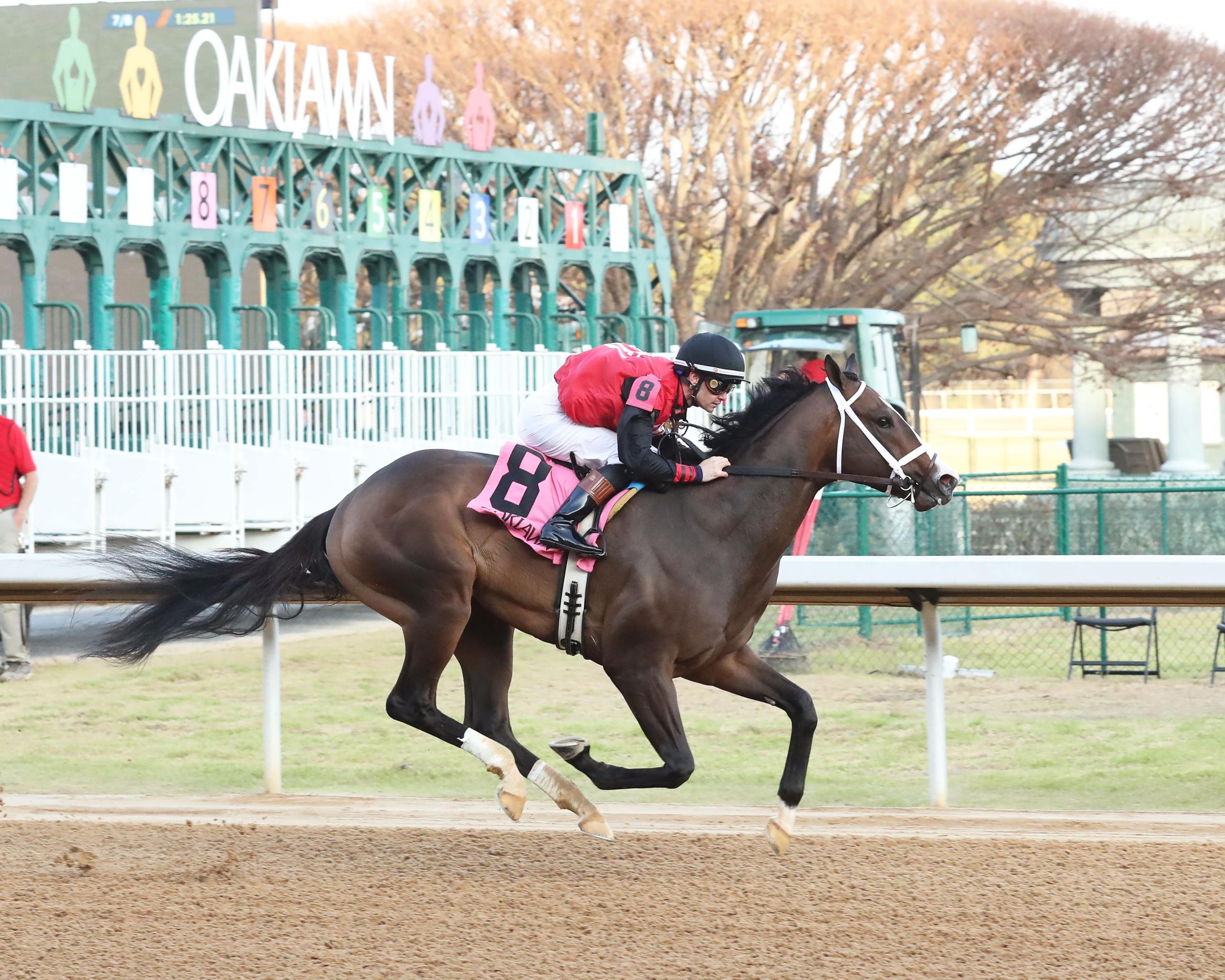 Victory Formation, Tapit Shoes Make up Cox Duo in Bath House Row - Past ...