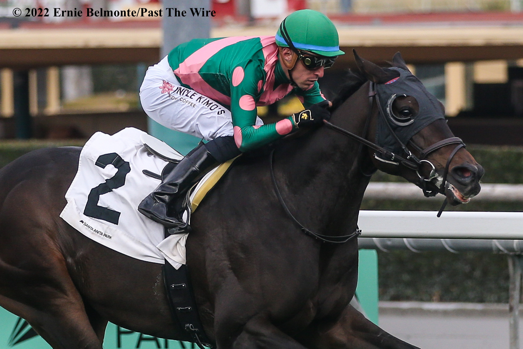 Ascending Ancient Peace Makes Stakes Debut in G3 Providencia - Past The ...