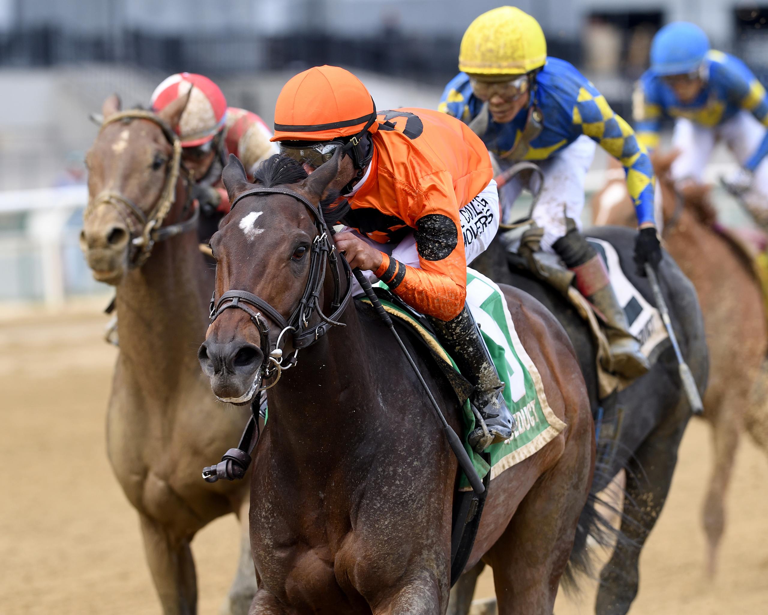 Joey Freshwater Vies for More Stakes Success in $150K Gold Fever - Past ...
