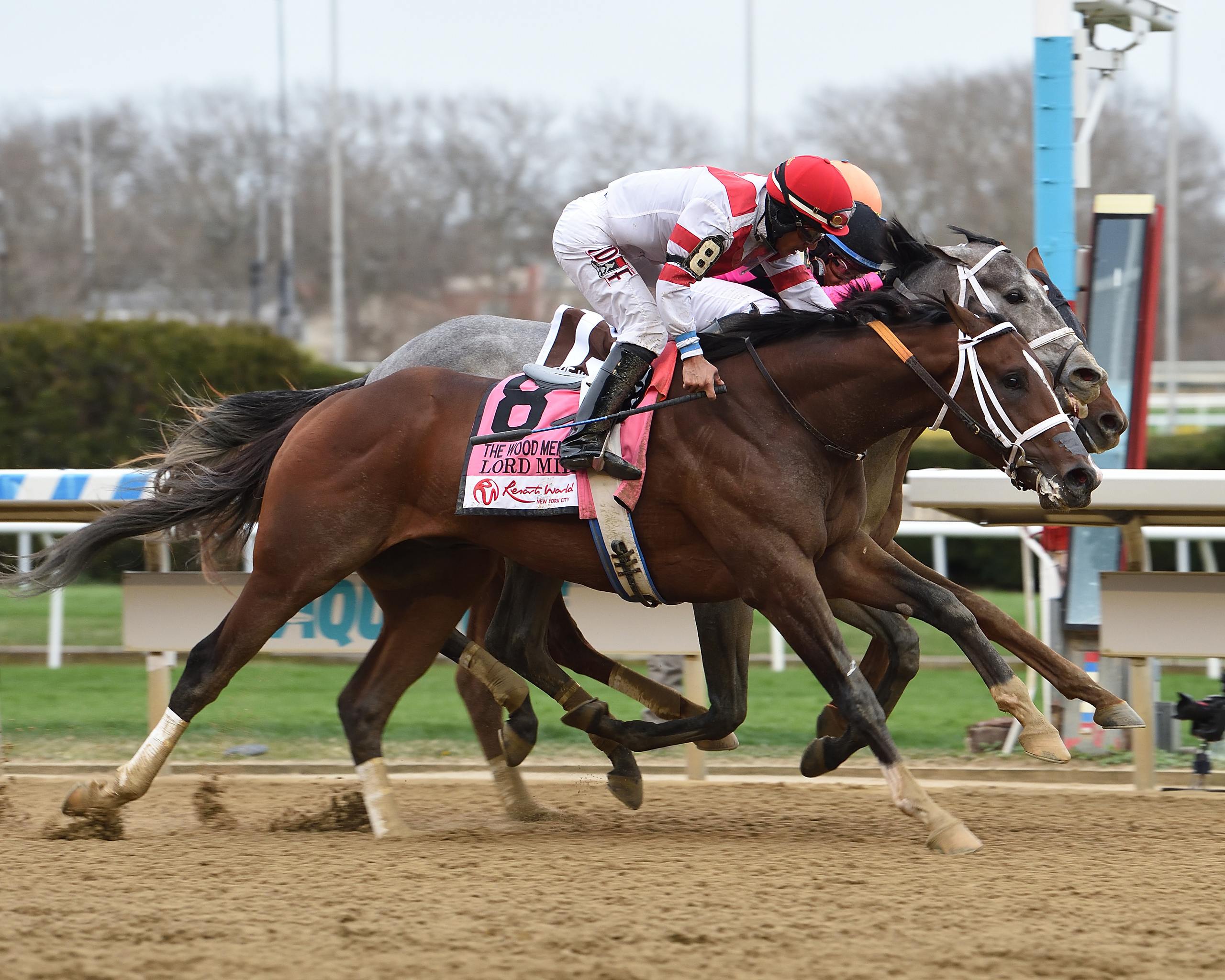 Lord Miles Works for Derby, White Abarrio on Target for Westchester ...