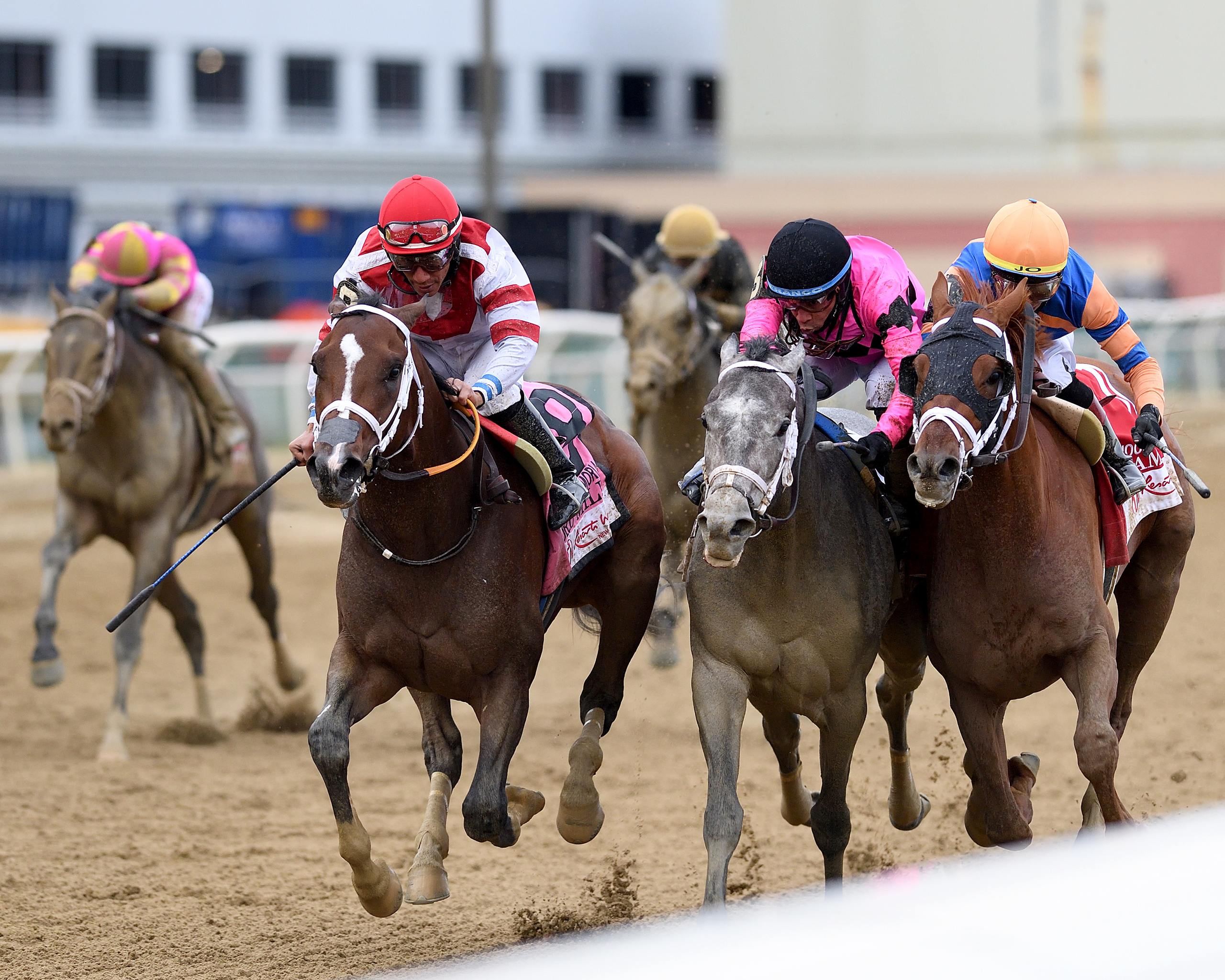 Hit Show, Slip Mahoney Doing Well After Wood Memorial - Past The Wire