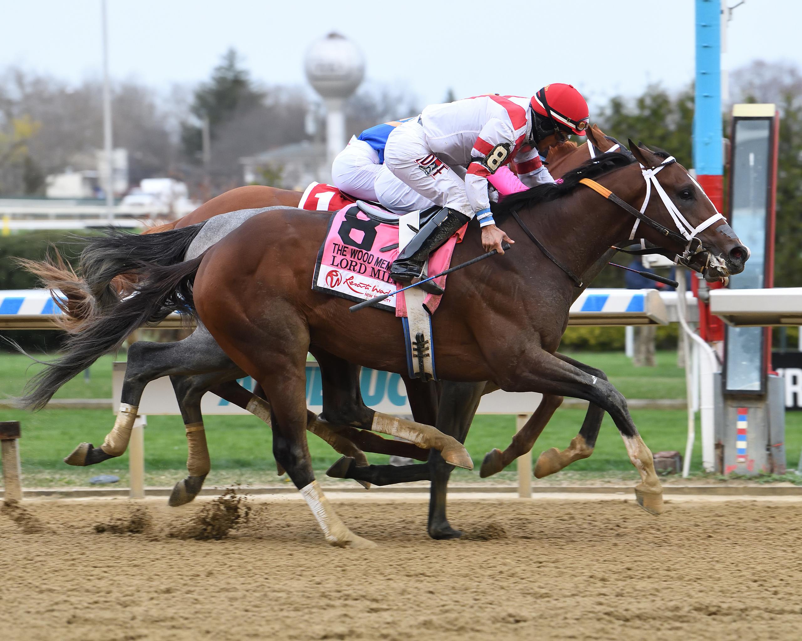 Lord Miles Eeks Upset in G2 Wood Memorial - Past The Wire