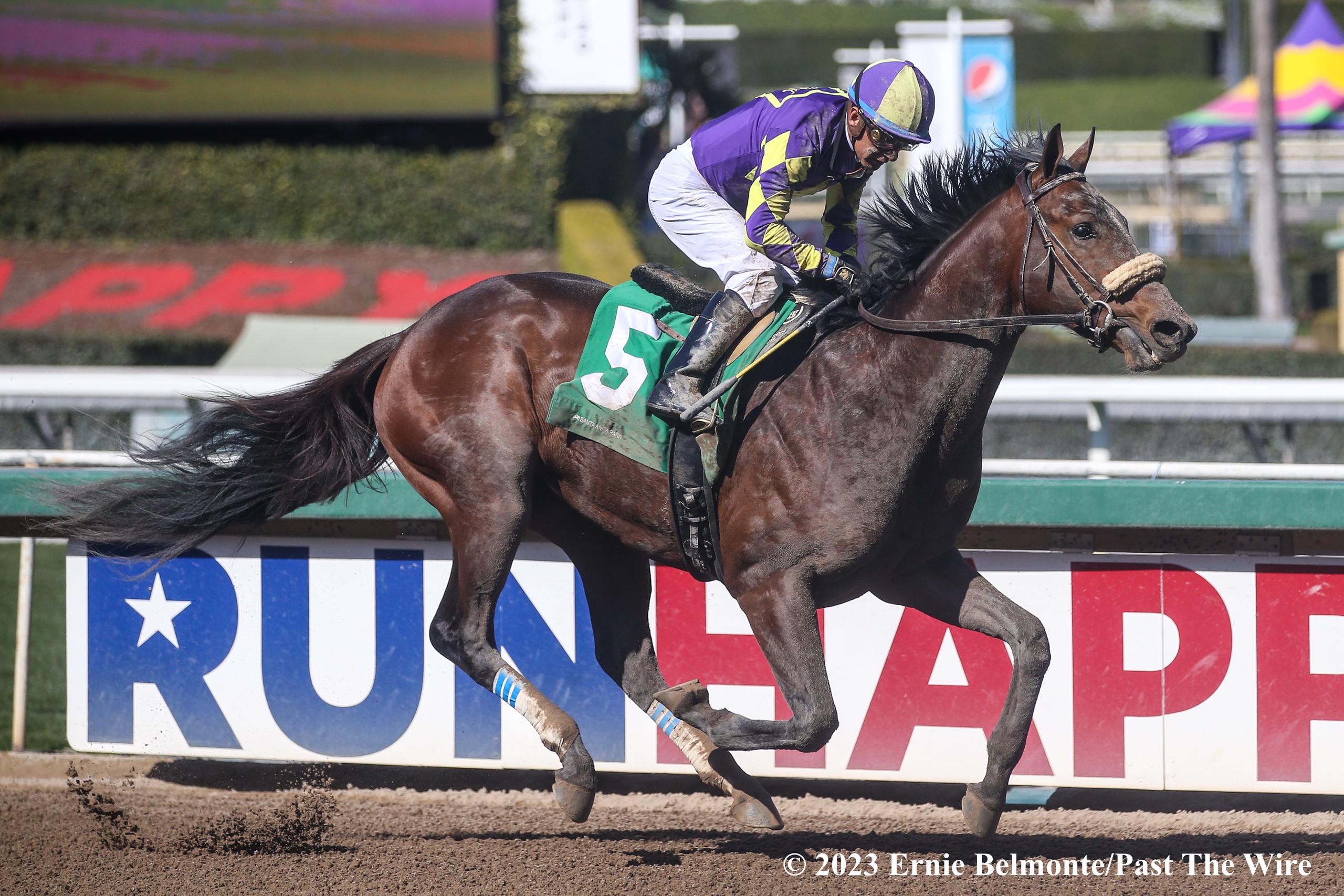Skinner Back in Light Training After Kentucky Derby Scratch - Past The Wire