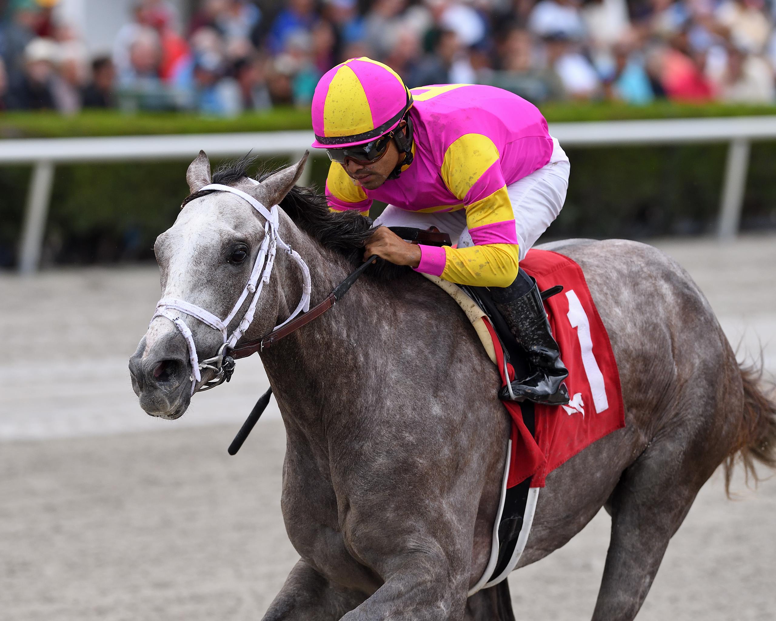 Tapit Trice Fulfilling Dreams for Owner in Blue Grass - Past The Wire