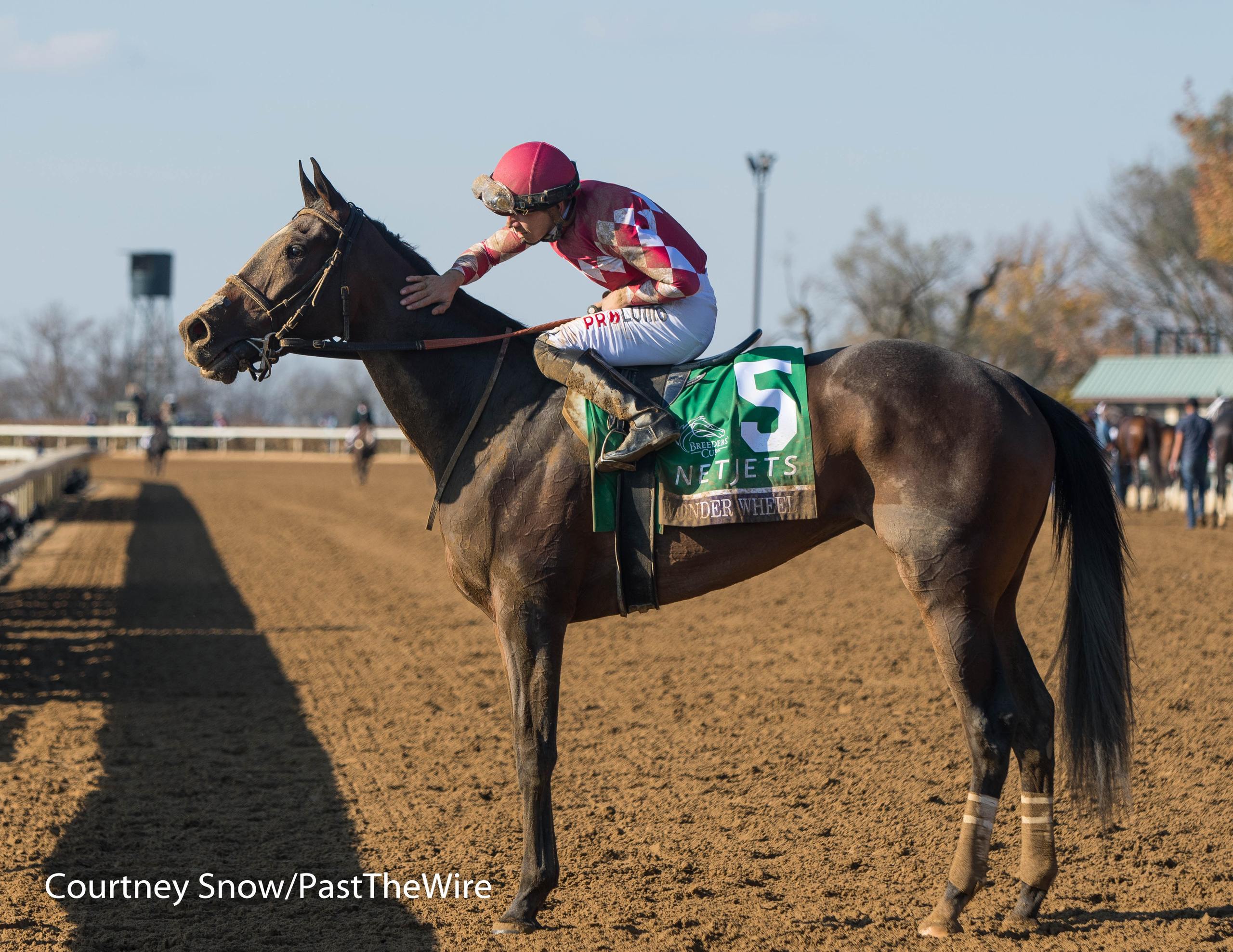 Casse Has Wonder Wheel Ready To Roll In G1 Ashland - Past The Wire