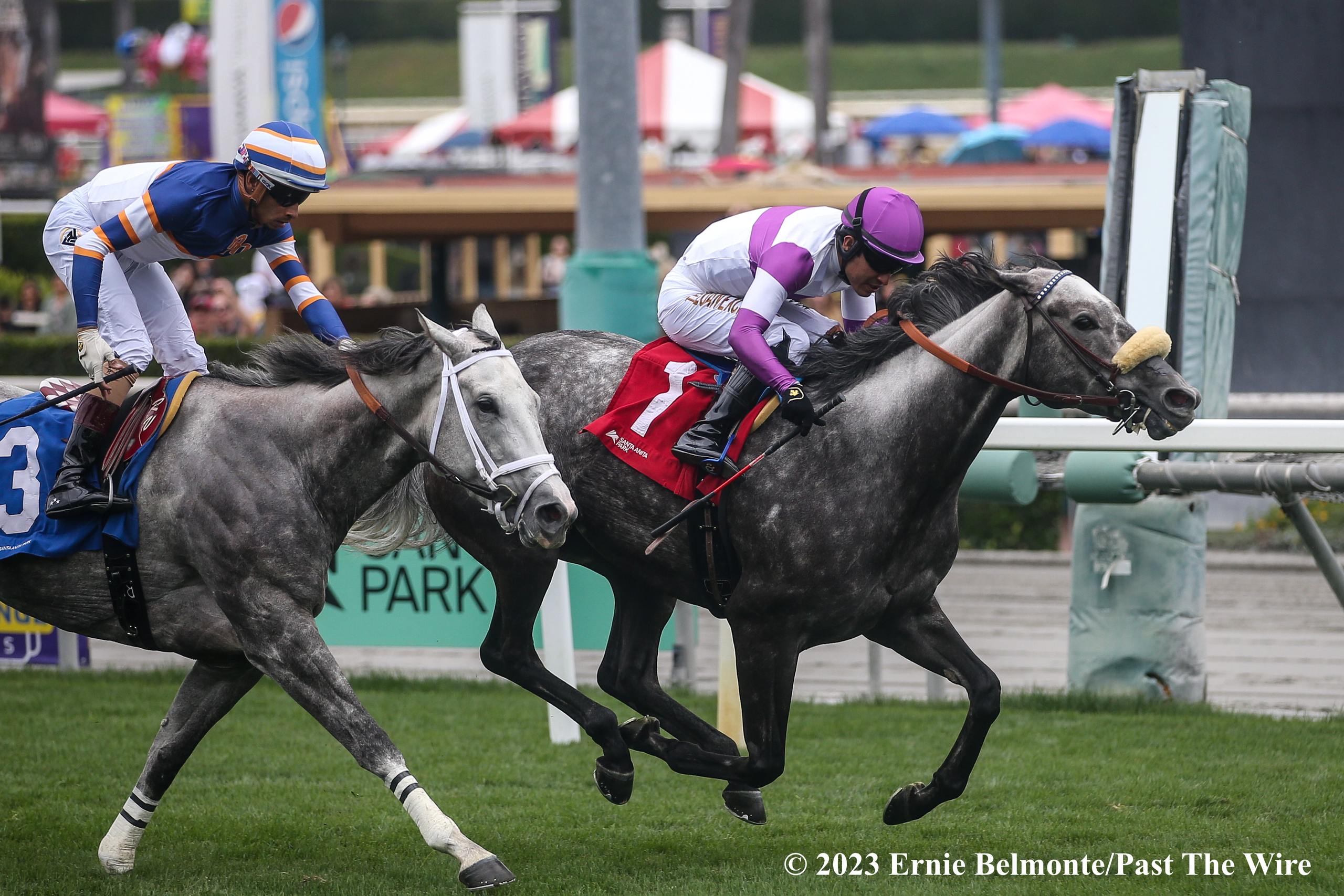 The Top 10 Unforeseen Wins that Shook the Horse Racing World - Past The ...