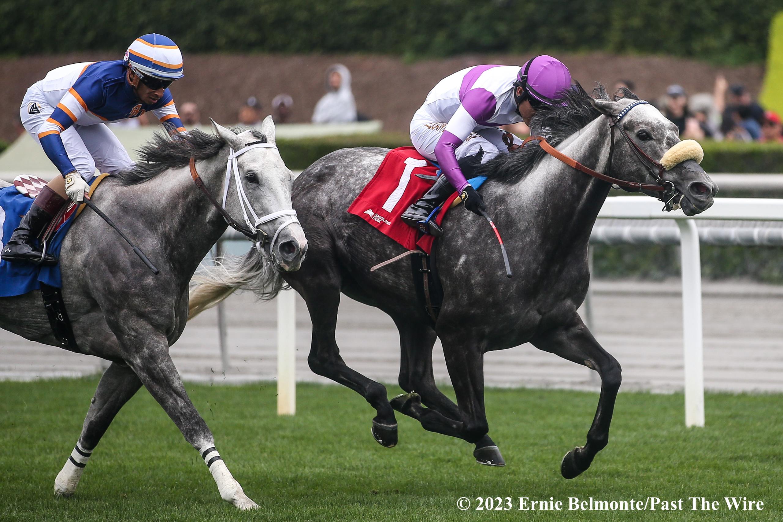 Beginner’s Guide to Thoroughbred Horse Racing - Past The Wire