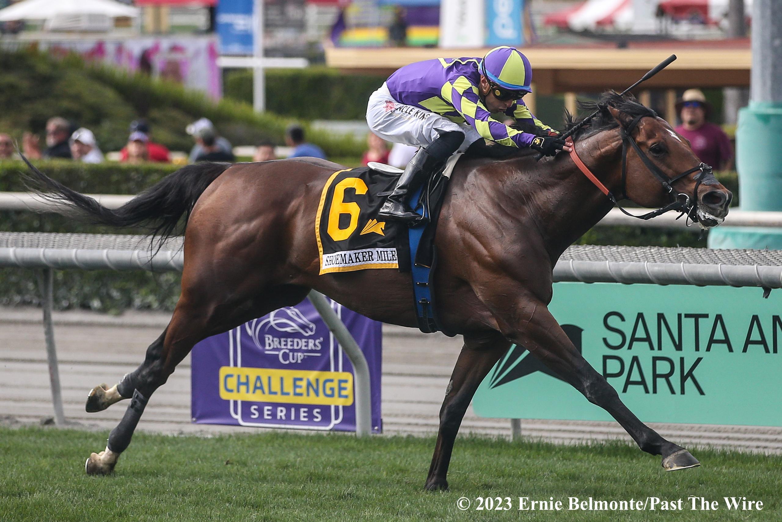 Exaulted To Rest Up for Return in G2 Del Mar Mile - Past The Wire