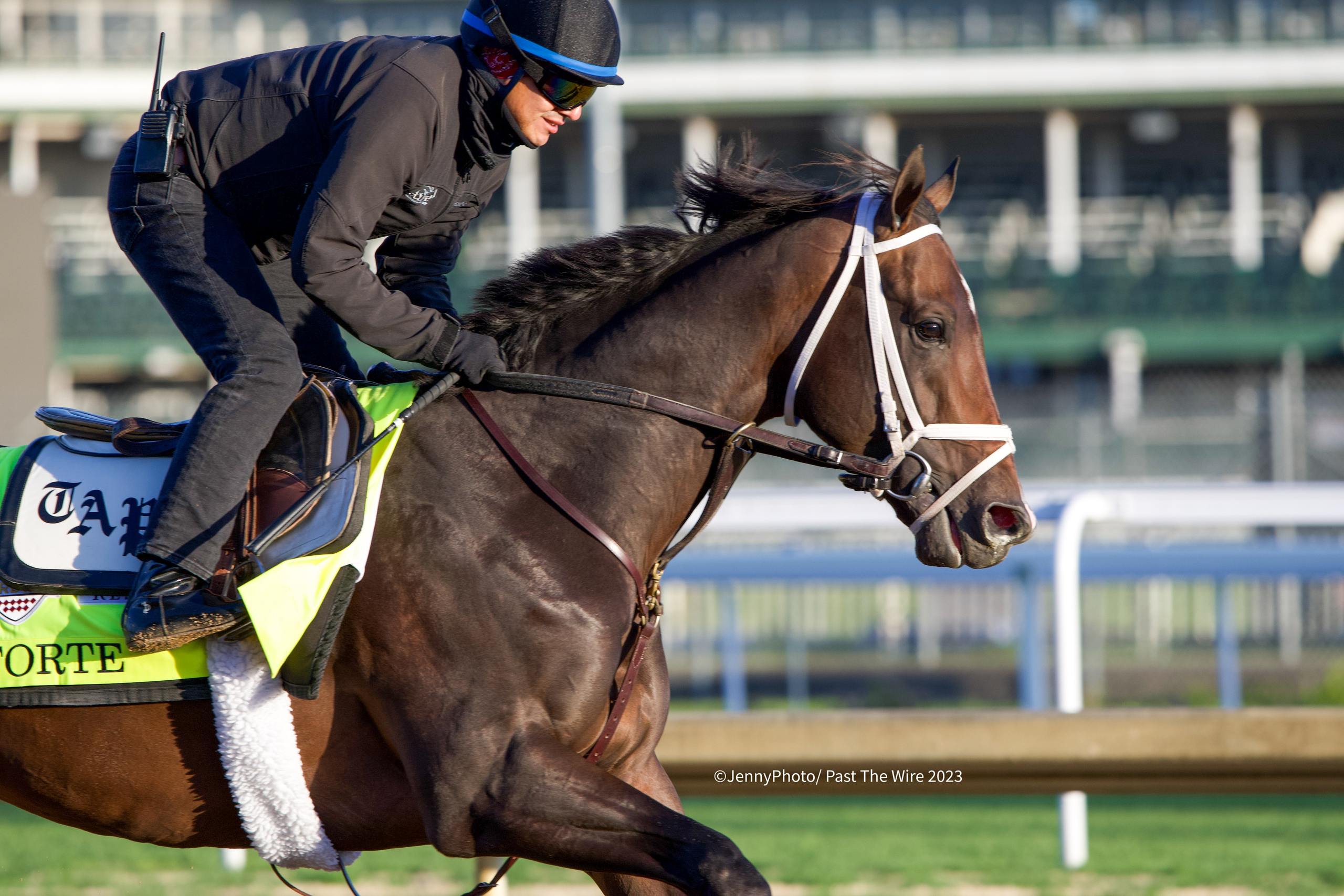 Forte Confirmed for G2 Jim Dandy, Tapit Trice Targeting G1 Haskell ...