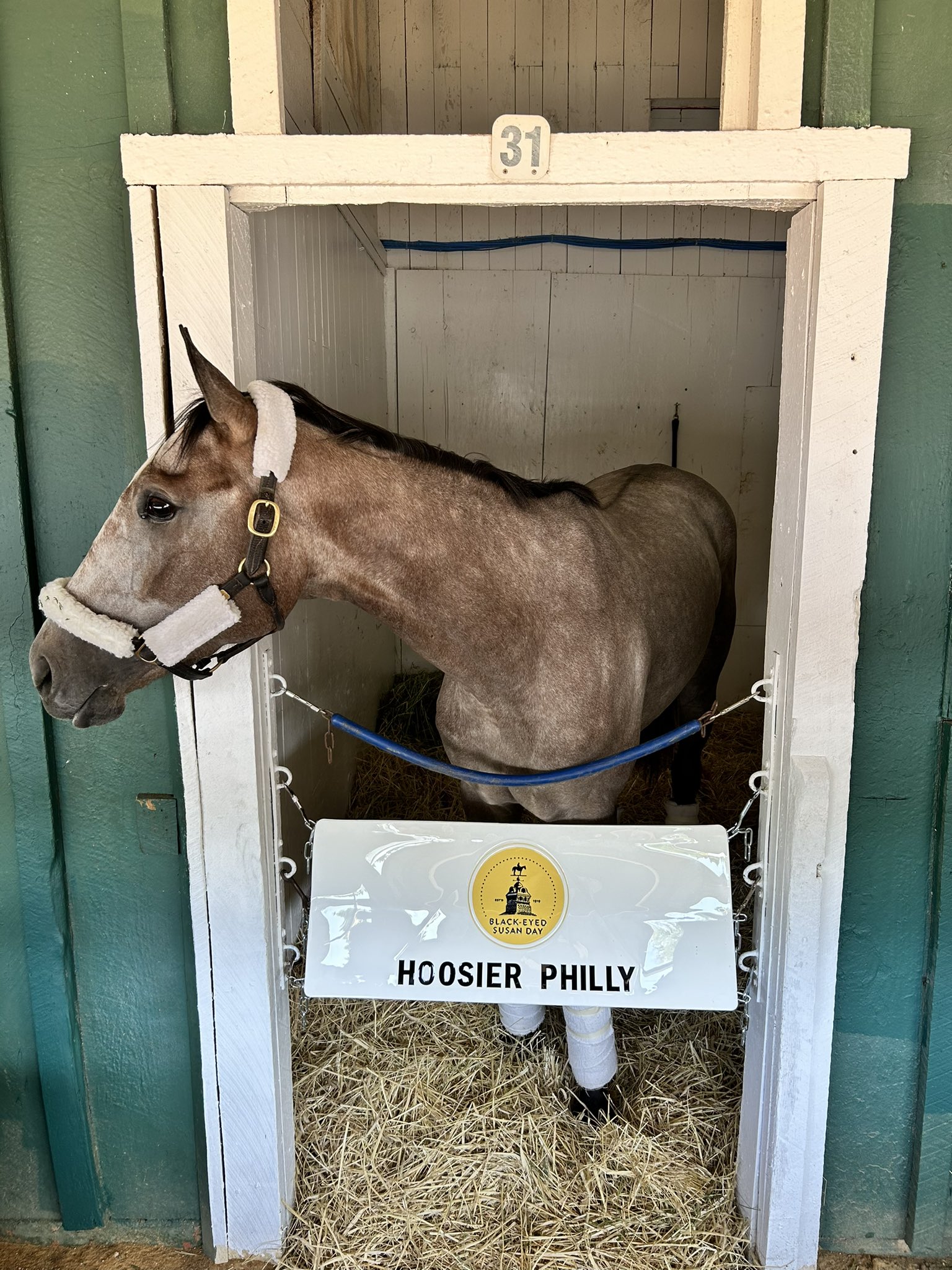 Will Black-Eyed Susan Day be a “Gray Day?” - Past The Wire