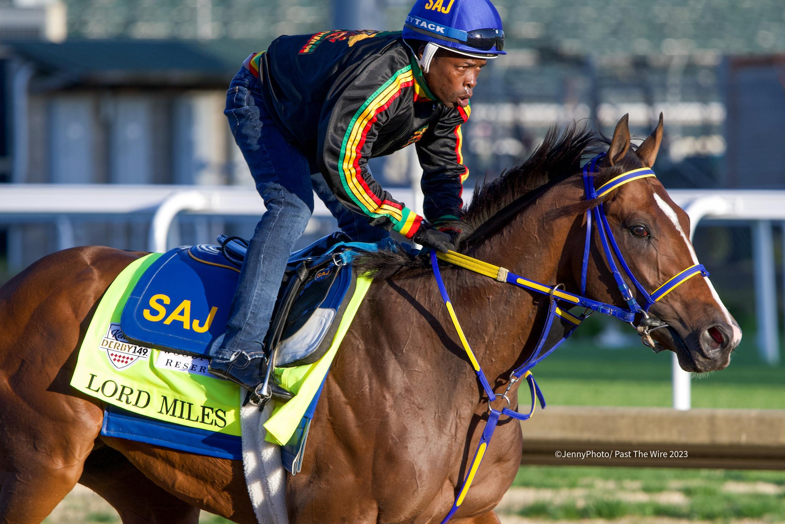 Lord Miles Seeks Return To Form in Wildcat Red - Past The Wire
