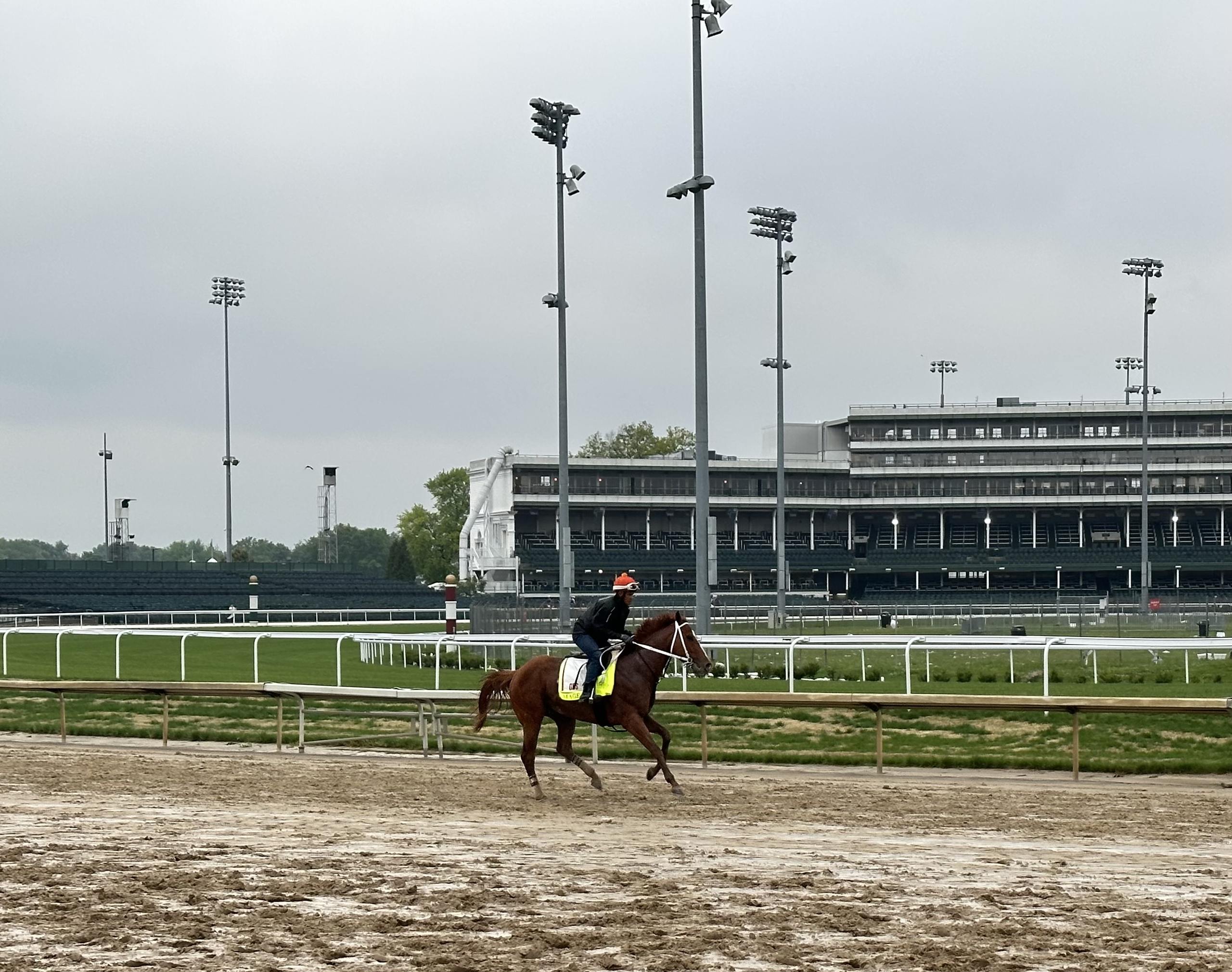 Preakness148: Mage Back on Track - Past The Wire
