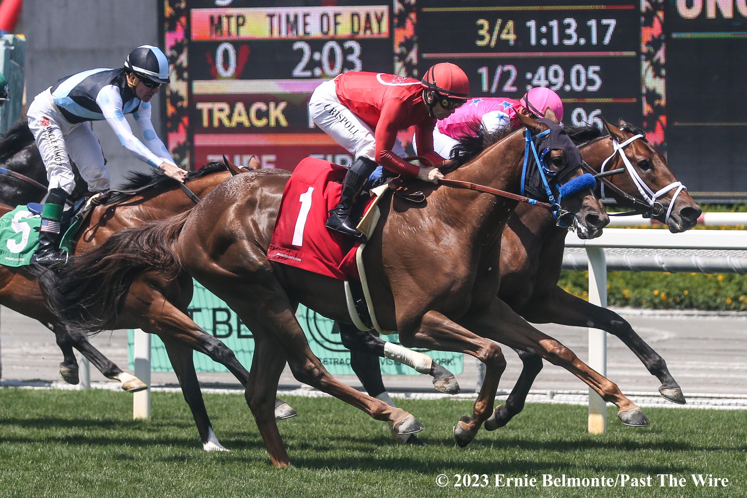 Turf Rivals Clash in Sunday’s $100K Cinema - Past The Wire