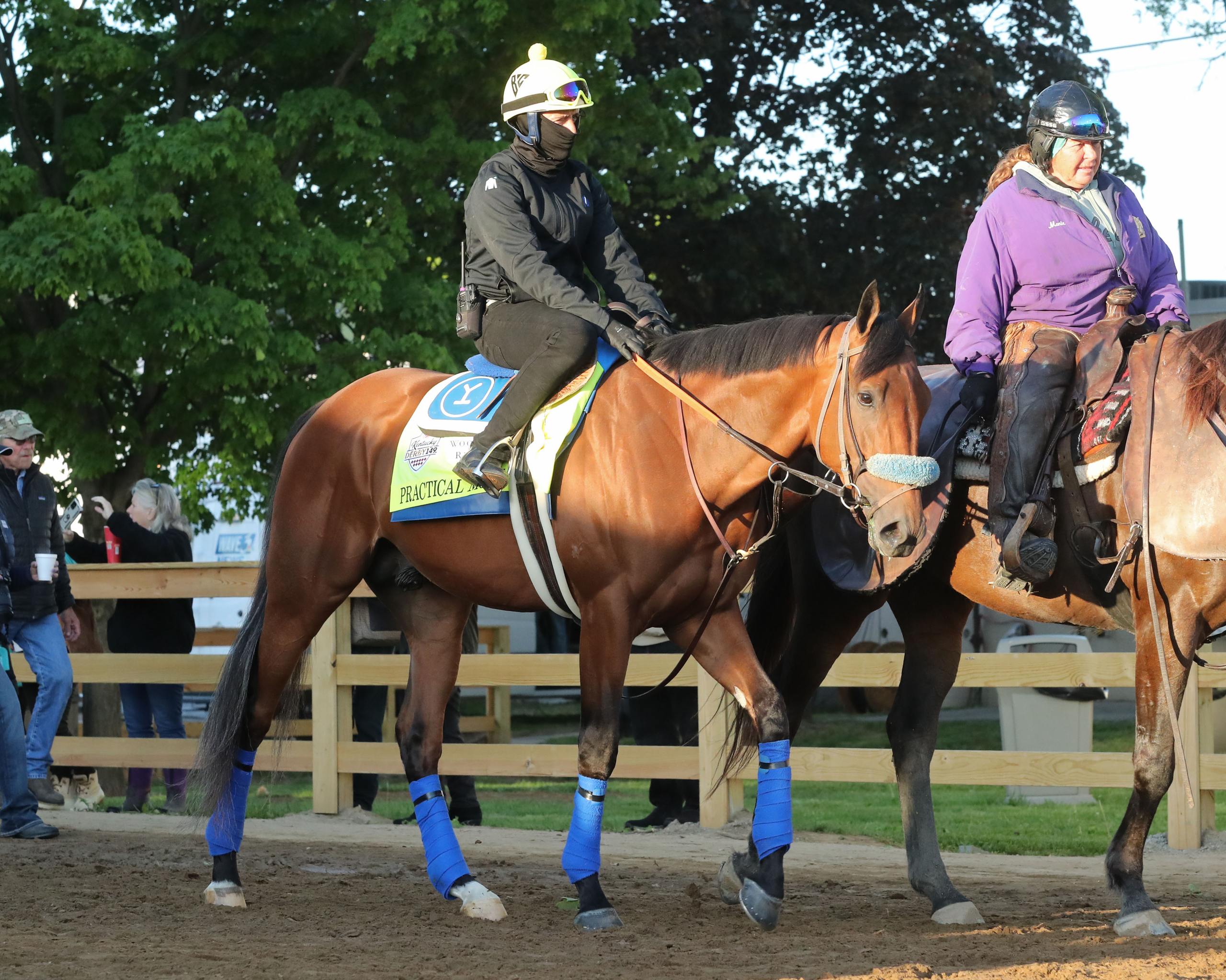 Practical Move To Scratch From Kentucky Derby 149 - Past The Wire