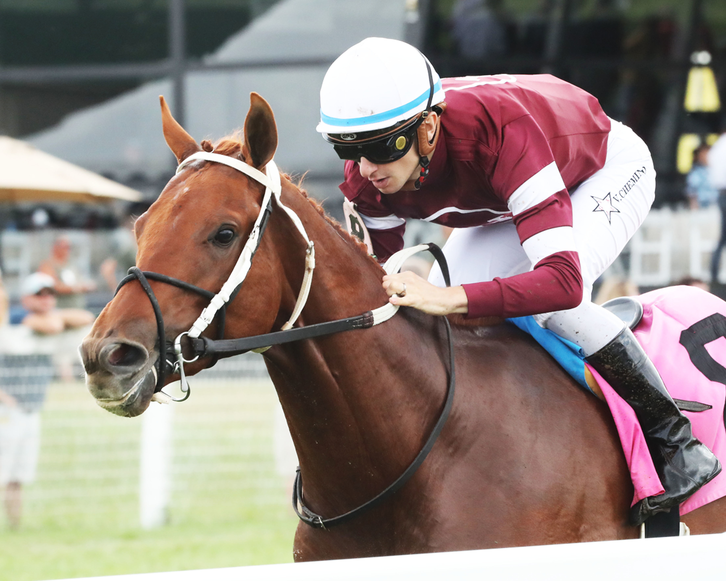 Red Route One Has Quiet First Week at Belmont - Past The Wire