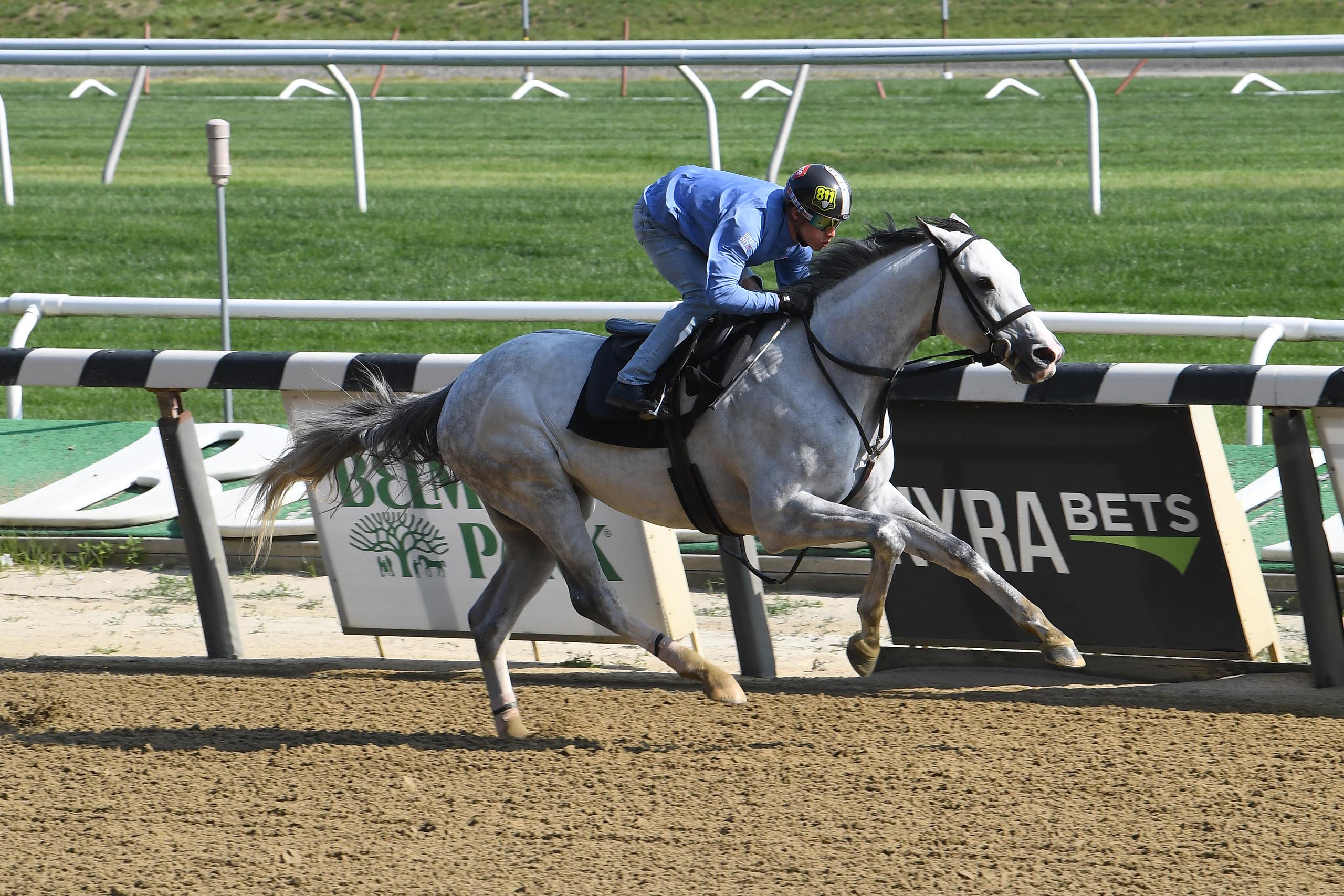Dutrow, Jr. Returns to the G1 Whitney With White Abarrio - Past The Wire