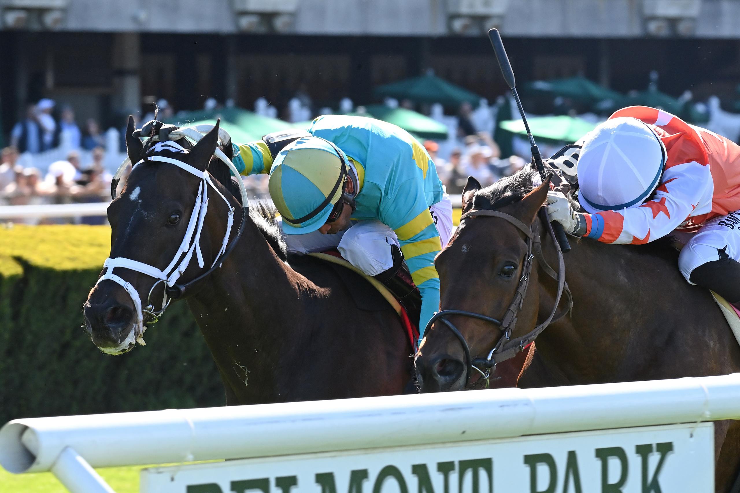 Elusive Quality Win Gives Anaconda Career-Best 98 Beyer - Past The Wire