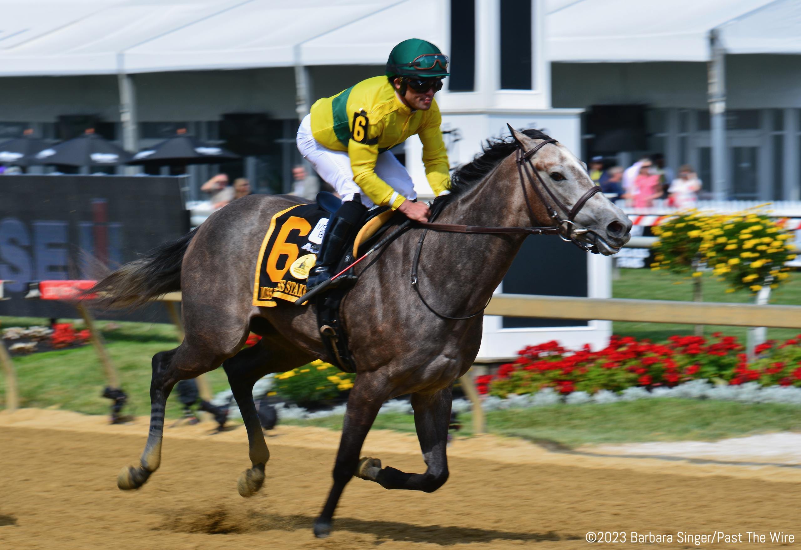 Giddings Takes Over Training Duties for Namesake Maple Leaf Mel - Past ...