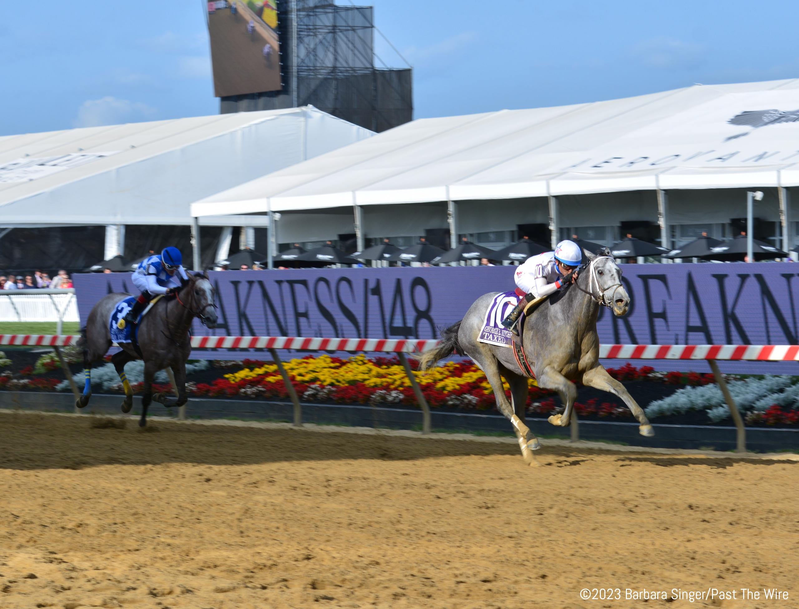 Taxed Looks to Levy Strong Challenge on Rivals in G1 Alabama - Past The ...