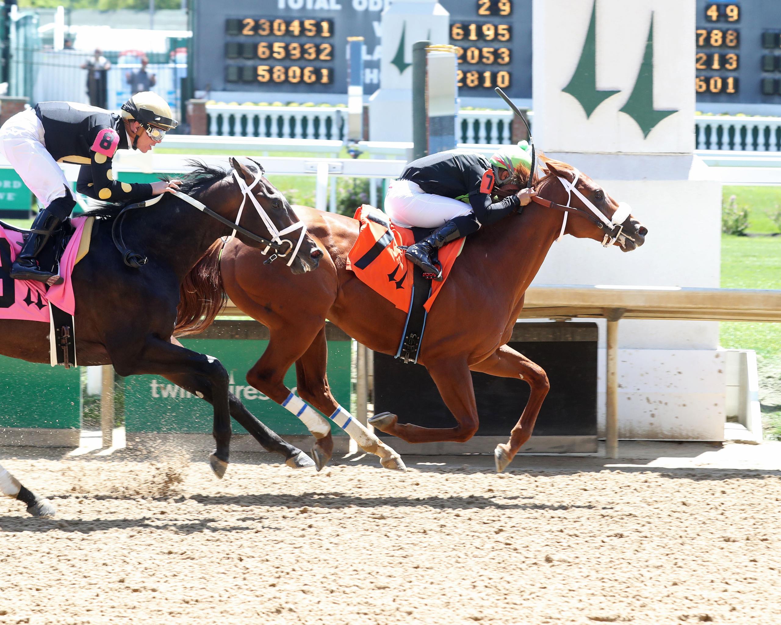Vitement Debuts for Kenneally in $150K Tremont - Past The Wire