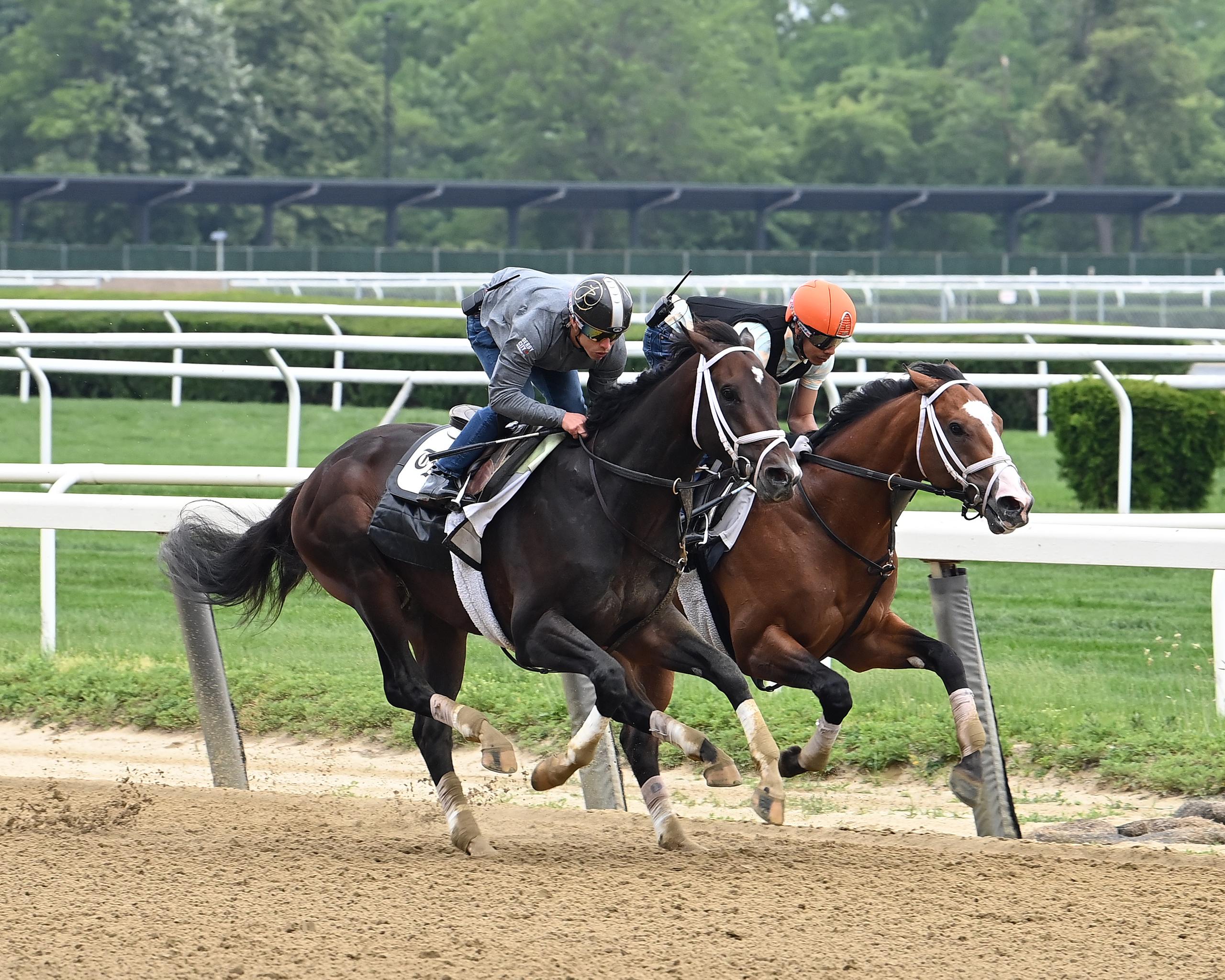 Forte, Tapit Trice Record Final Works for Belmont - Past The Wire