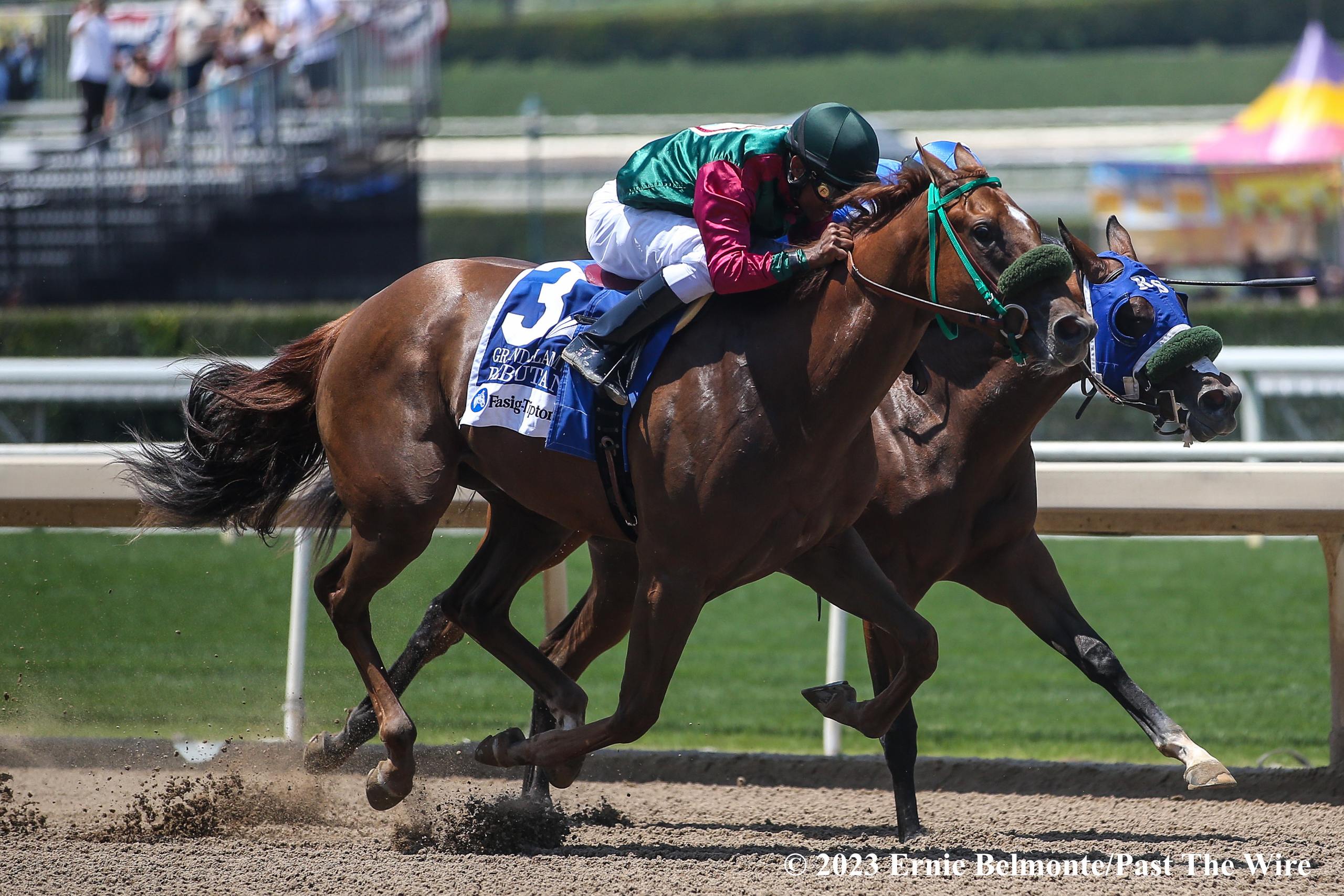 Racing Syndicates Continue To Grow In The UK - Past The Wire