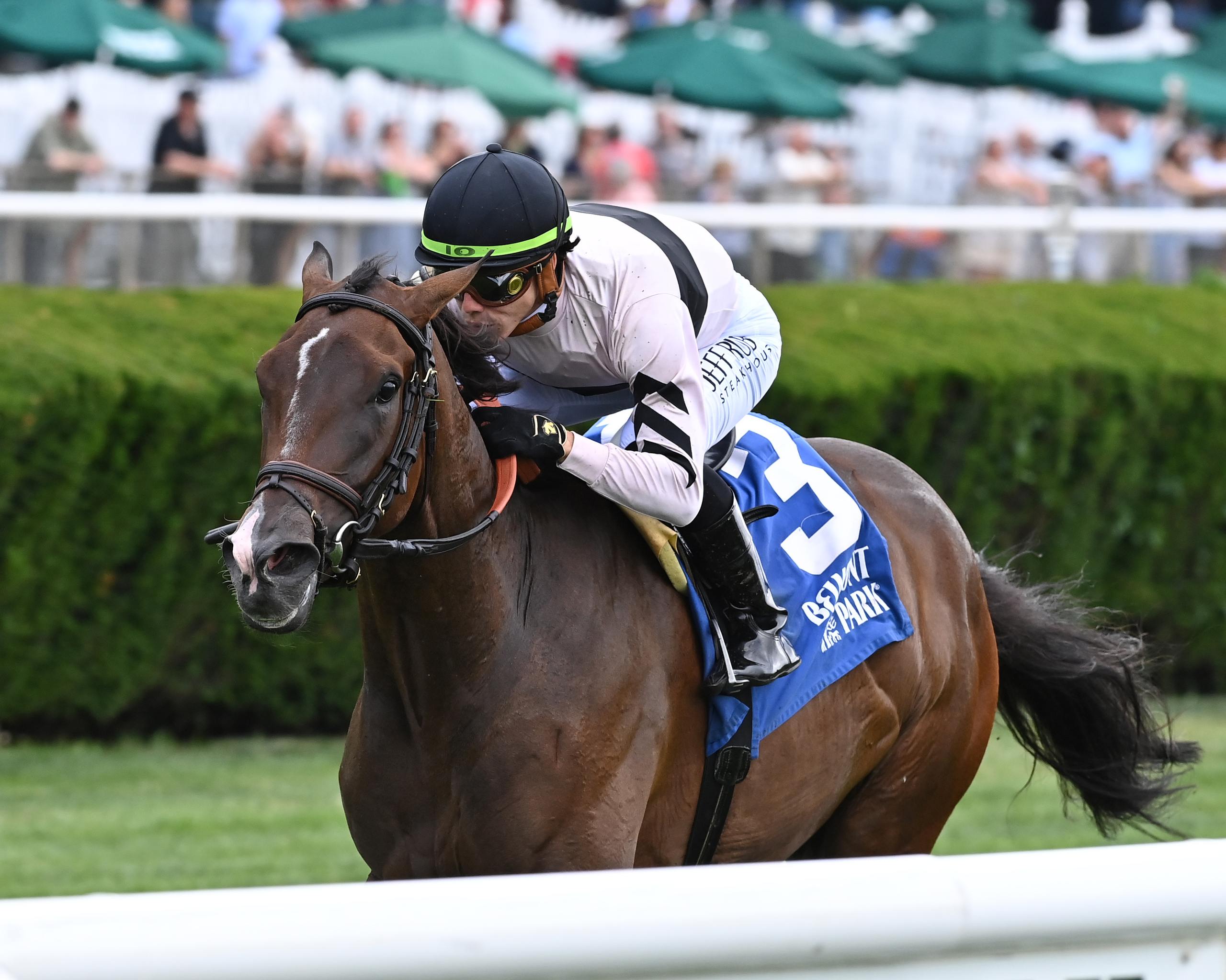 Liguria Tops Chad Brown Exacta in $150K Wild Applause - Past The Wire