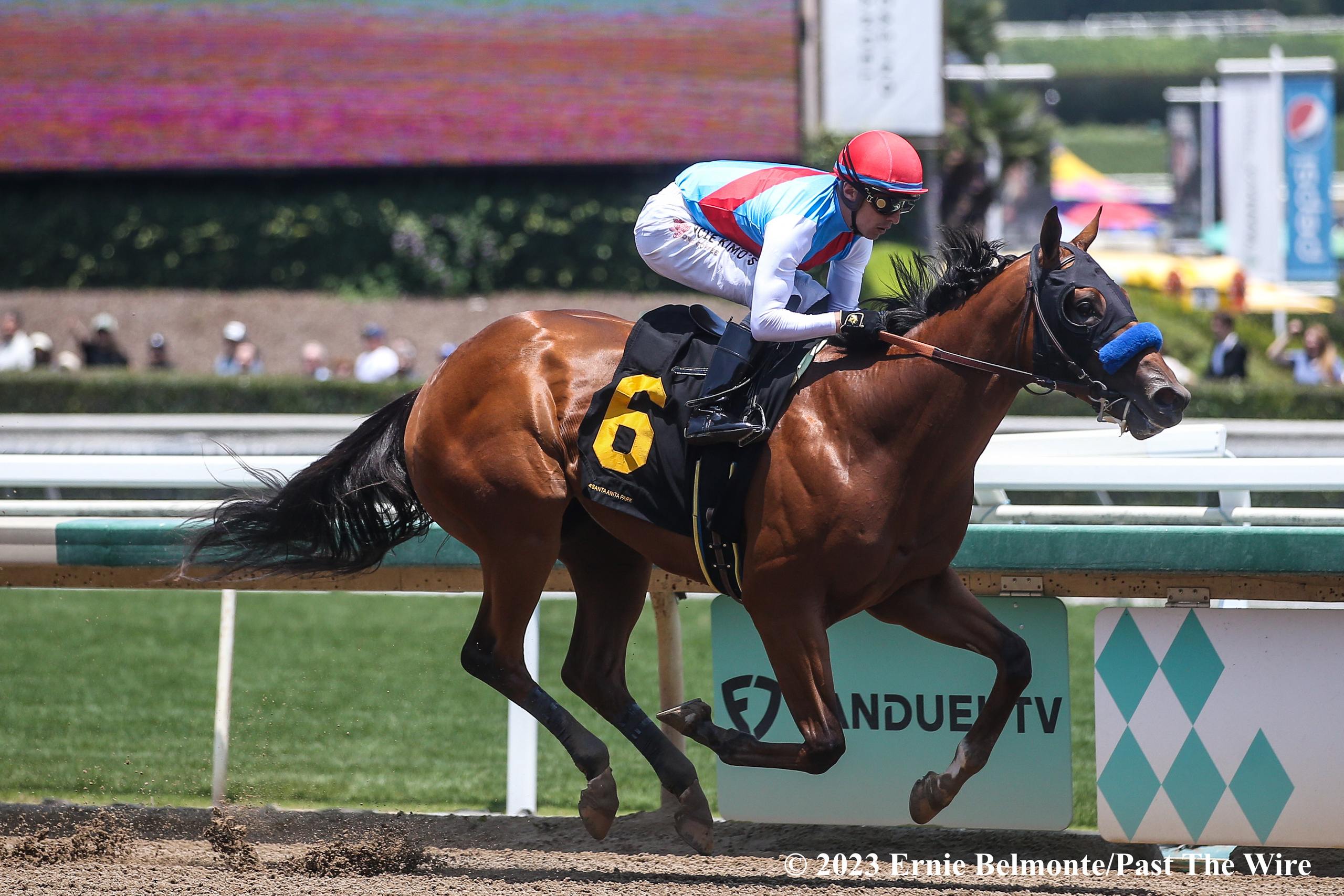 March Sale Topper Muth Romps in Debut - Past The Wire