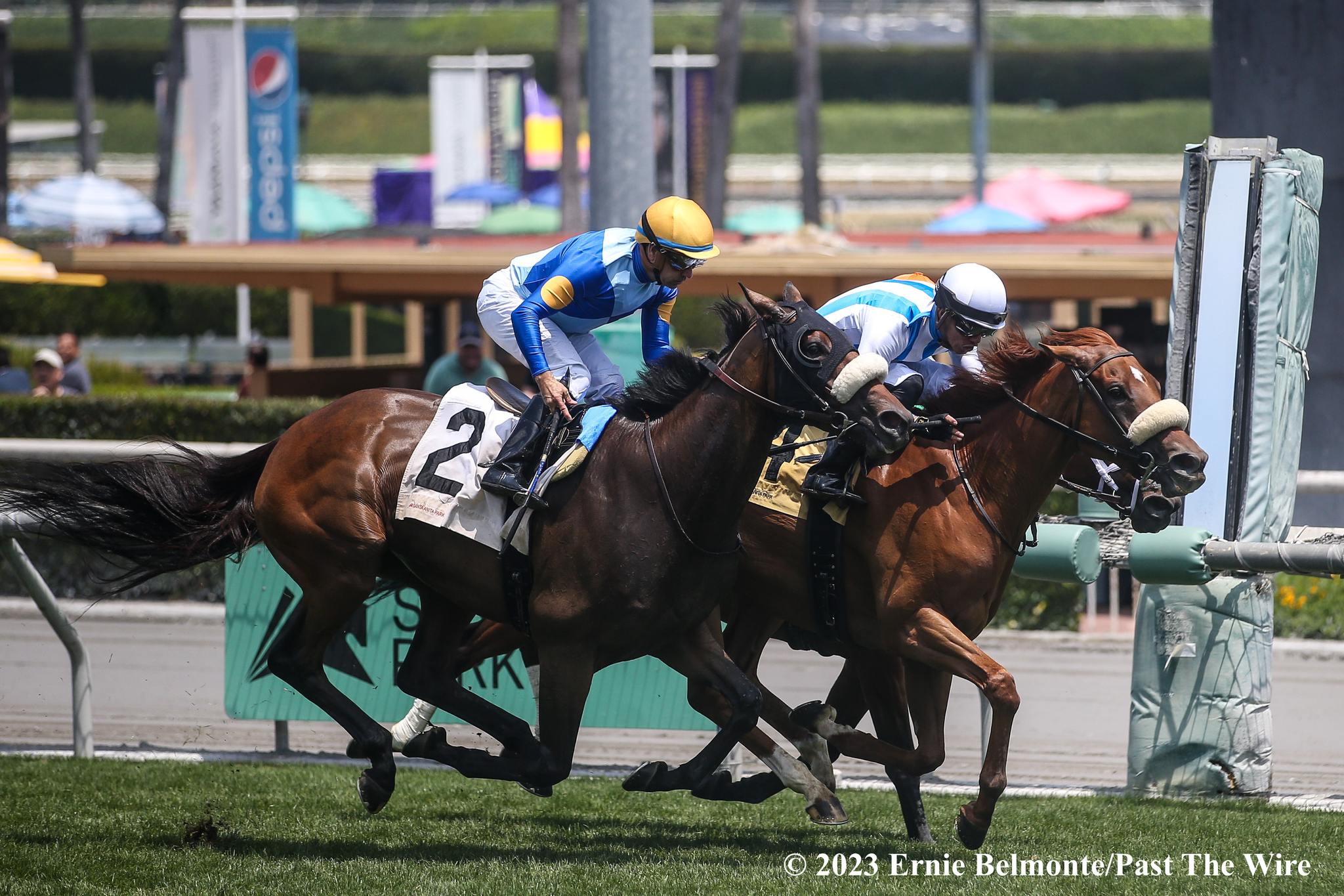 Understanding the Different Types of Horse Racing - From Flat to ...