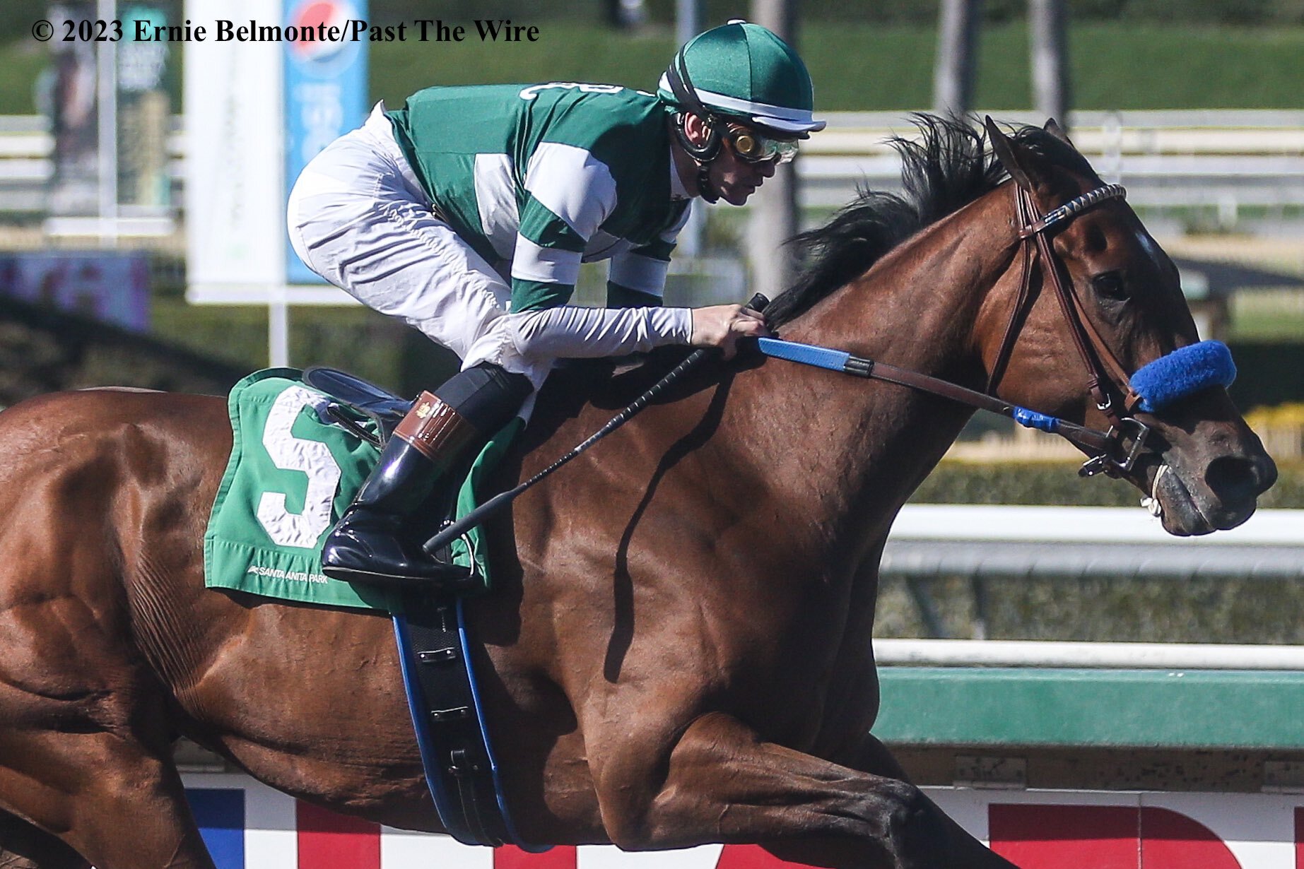 Anywho Wheels Back in Desert Stormer - Past The Wire