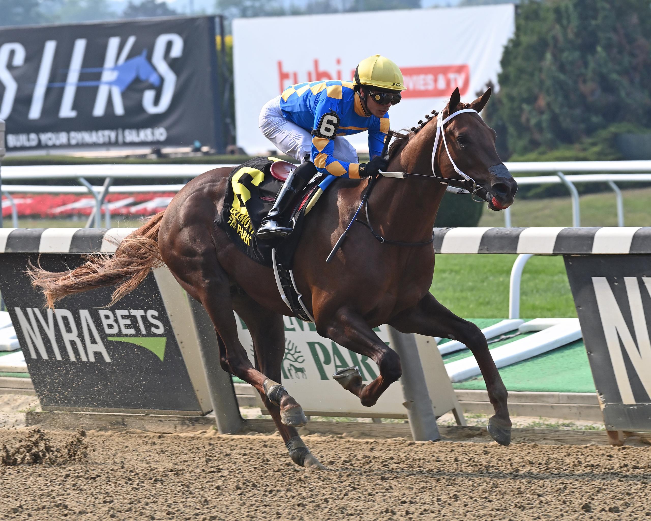 Gold Sweep Breaks His Maiden Impressively in $150K Tremont - Past The Wire
