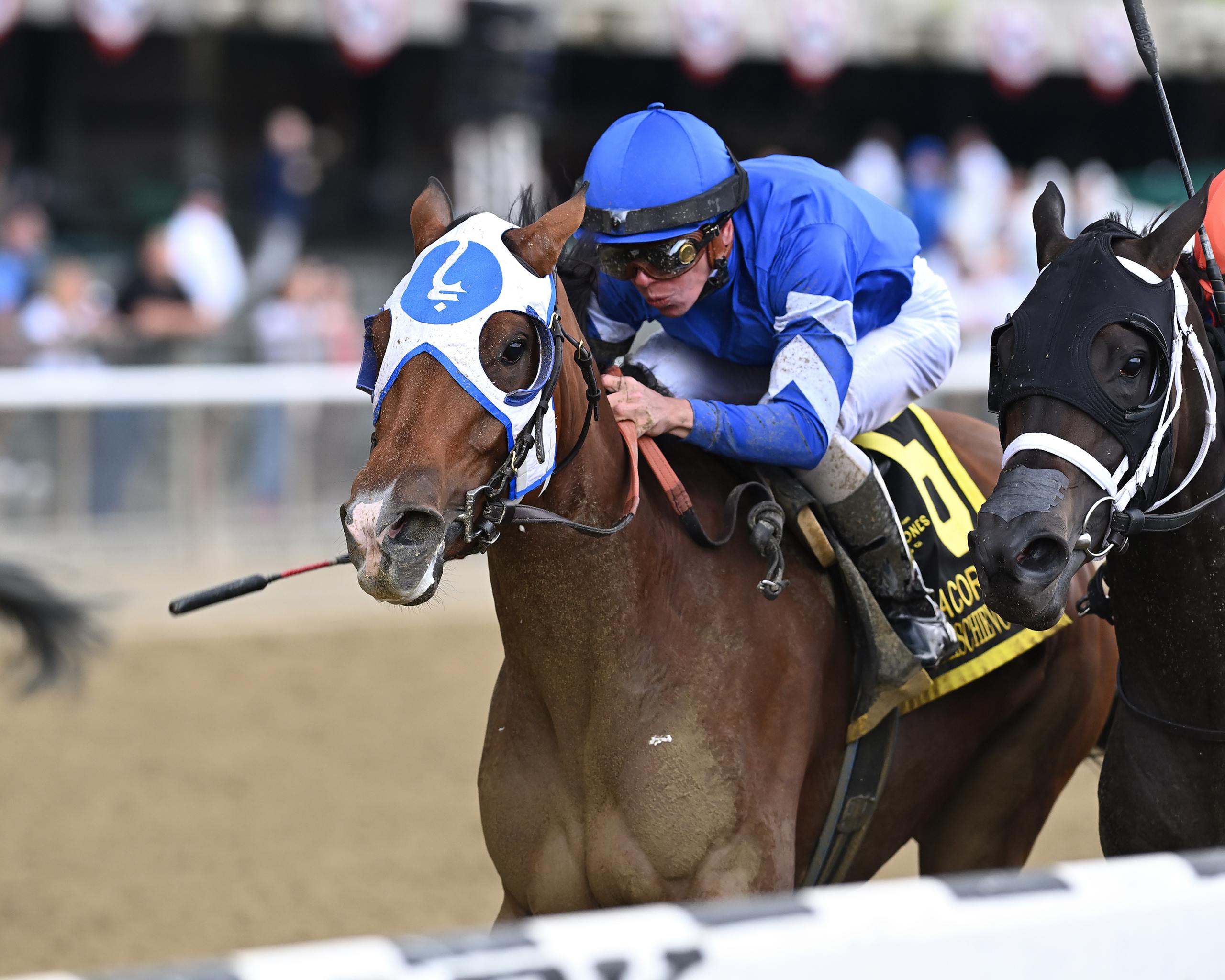 Pretty Mischievous Goes For G1 Hat Trick In $500K Test - Past The Wire