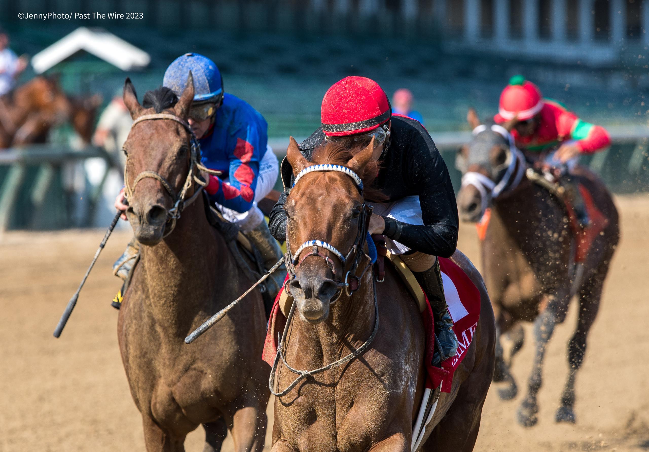 Rattle N Roll Looks to Stamp Breeders’ Cup Ticket in G1 Jockey Club ...