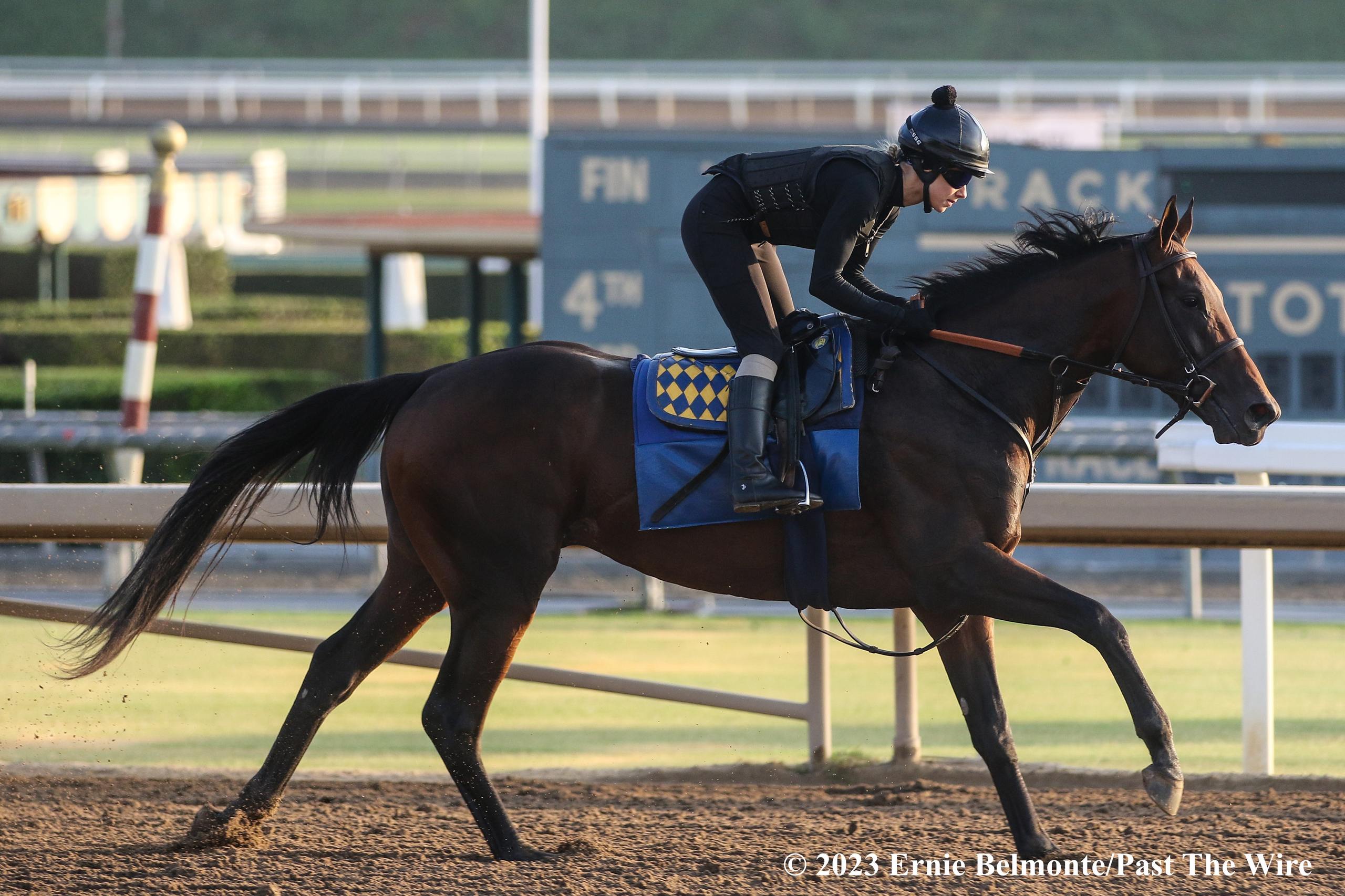 Mr Fisk Goes for the Win in Shared Belief - Past The Wire