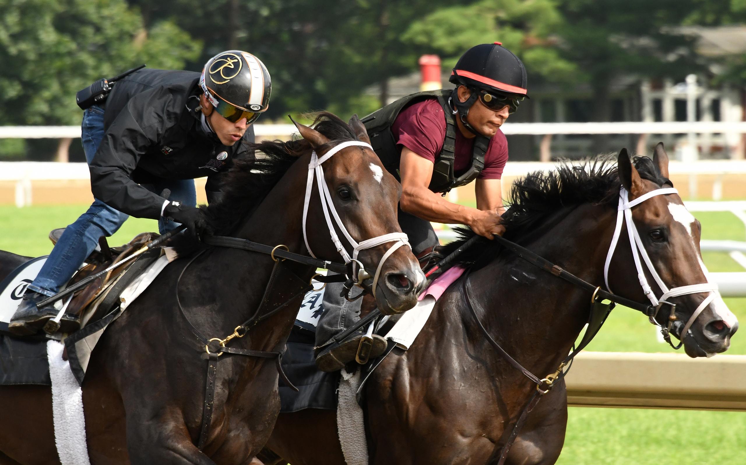 Forte Primed for Success in G2 Jim Dandy - Past The Wire