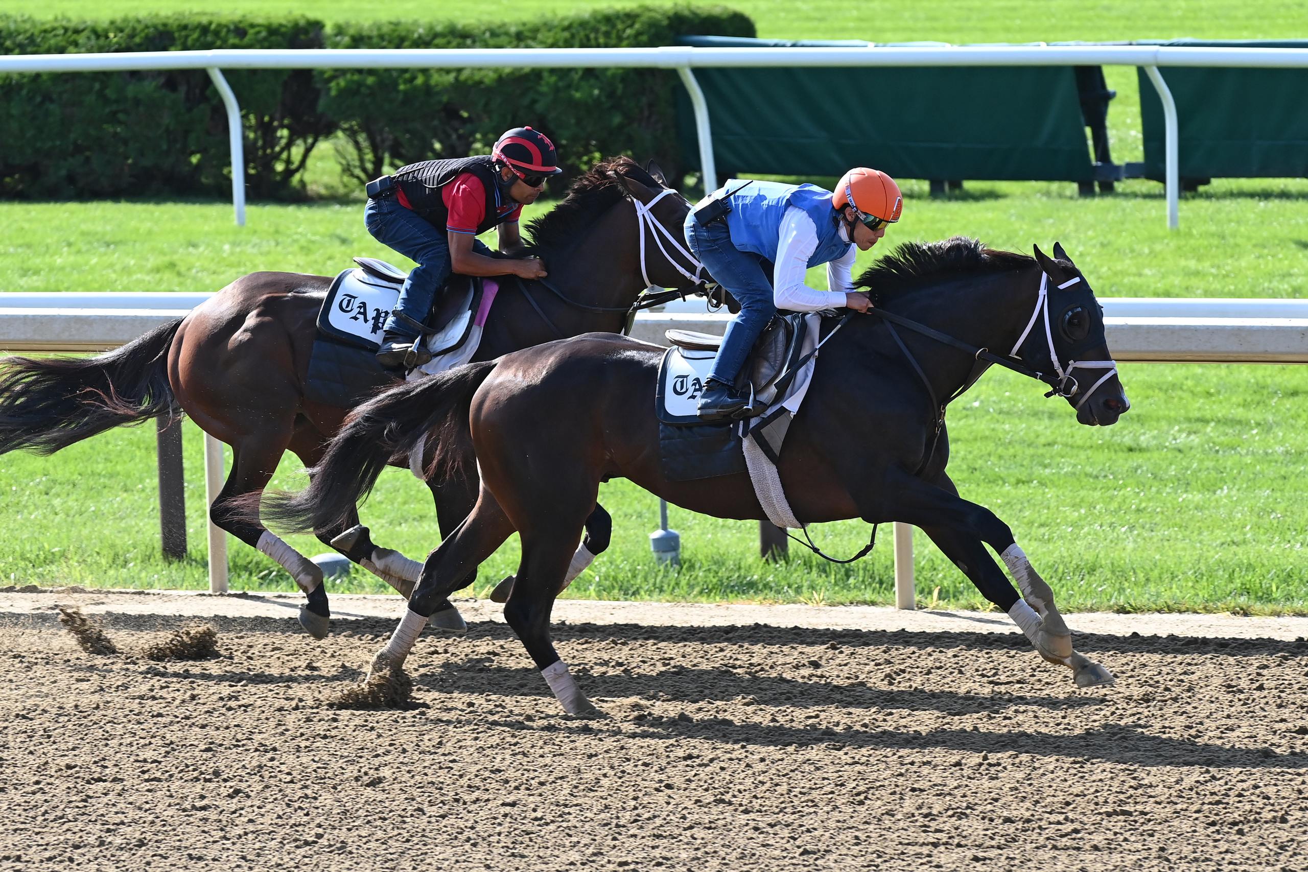 Forte Adds Blinkers for Final G2 Jim Dandy Tune Up - Past The Wire