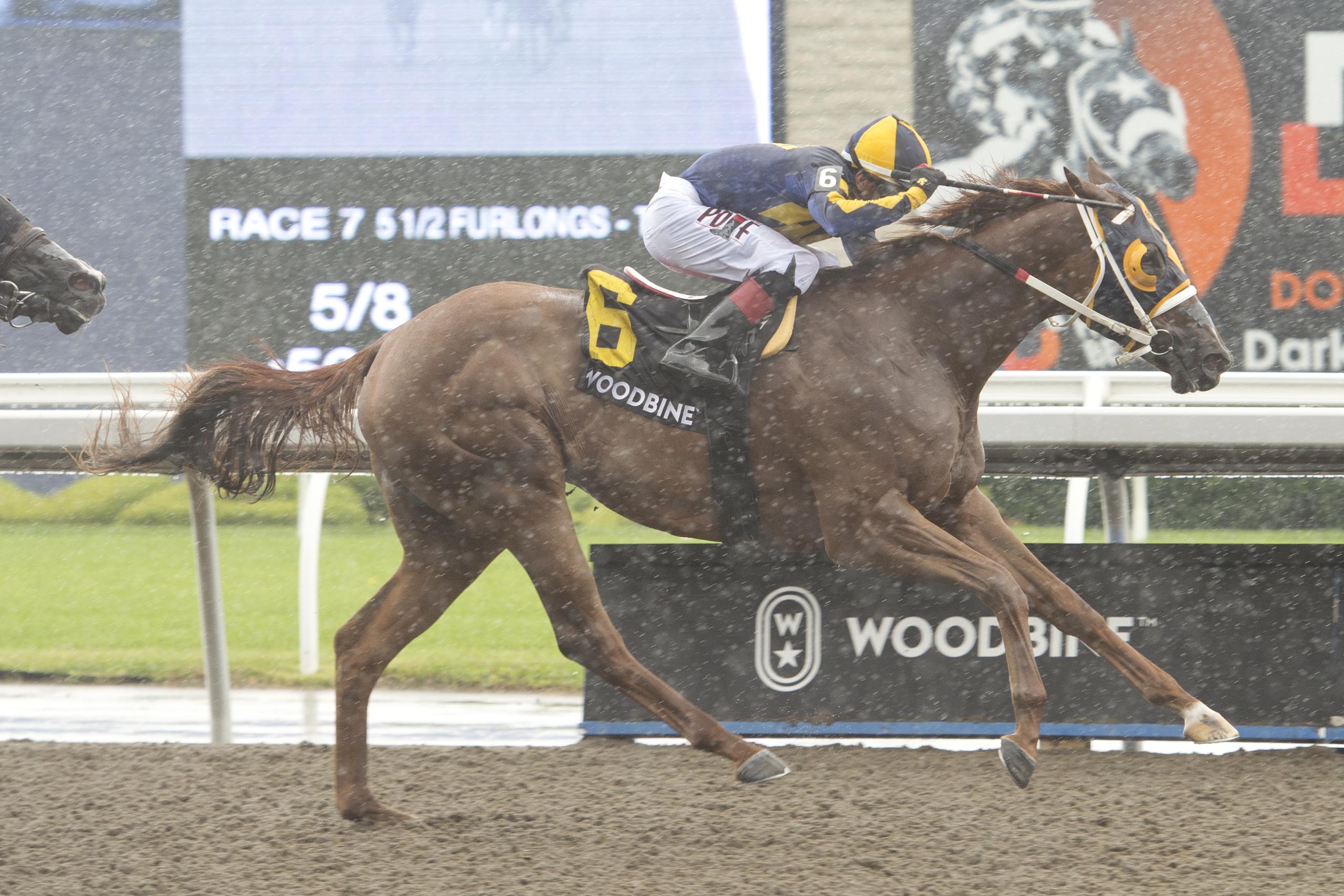 Living Magic Star of the Show in My Dear Stakes - Past The Wire