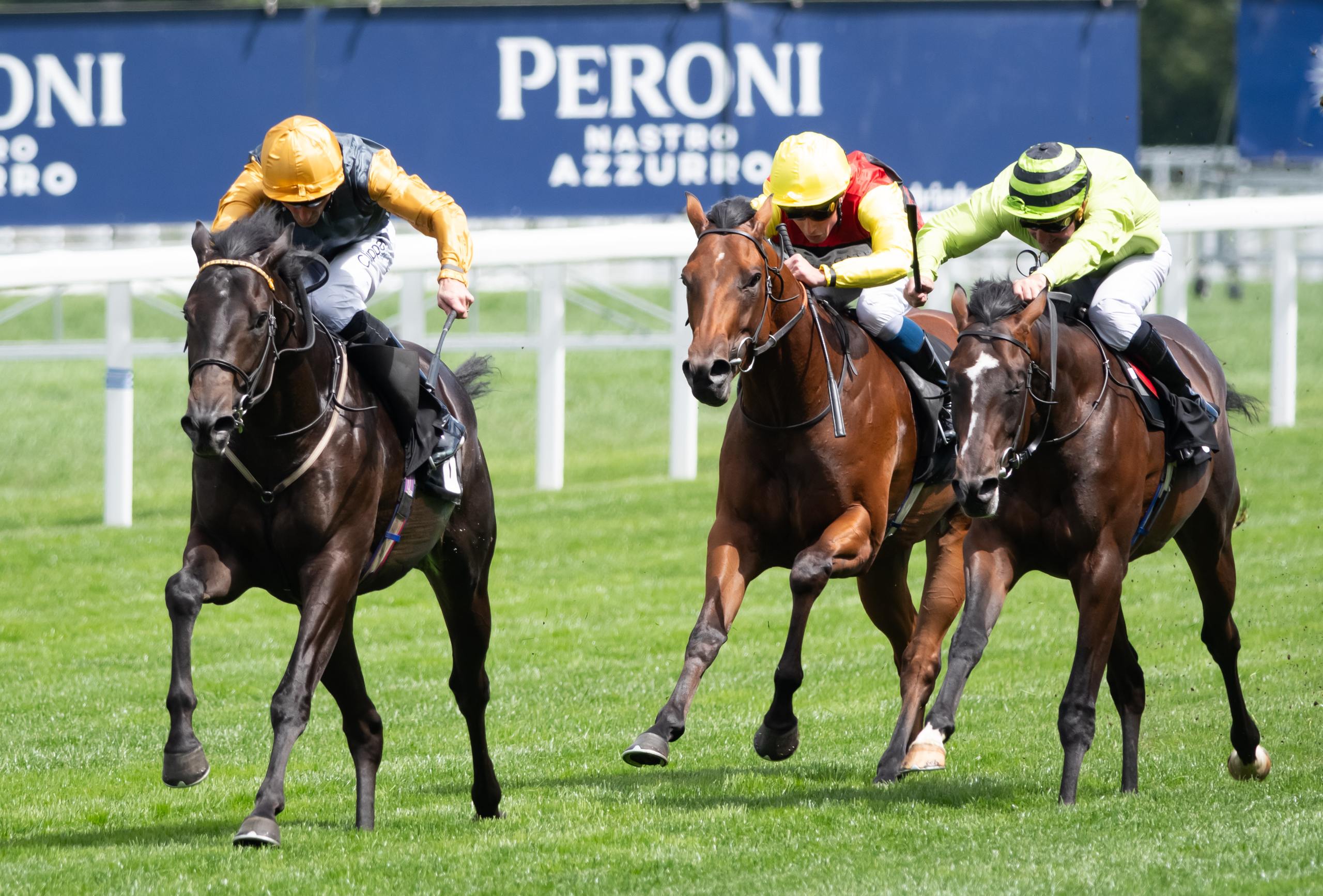 Games for horse racing fans to play - Past The Wire