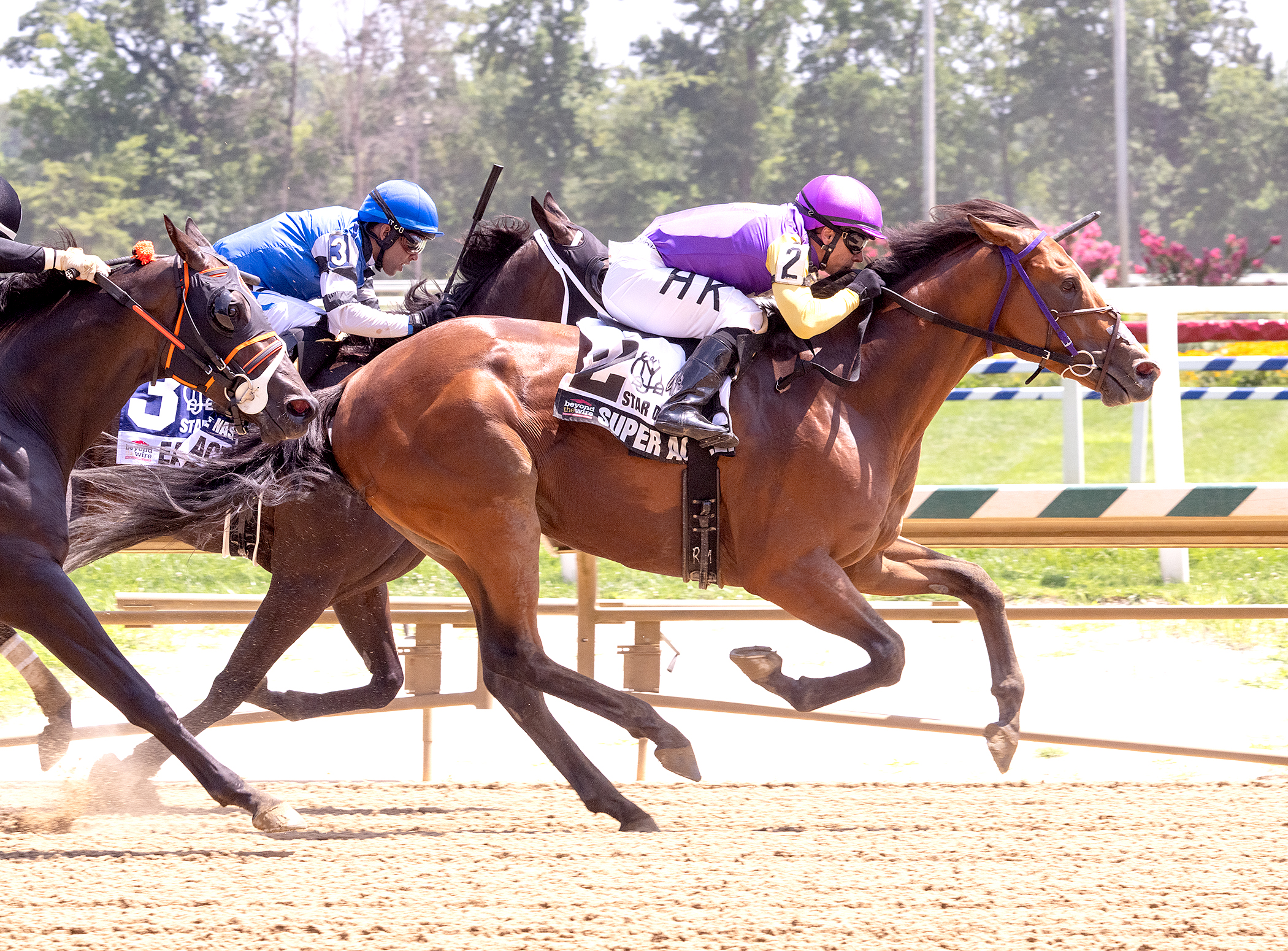 Super Accelerate ‘Tough as Nails’ in $75,000 Star de Naskra - Past The Wire