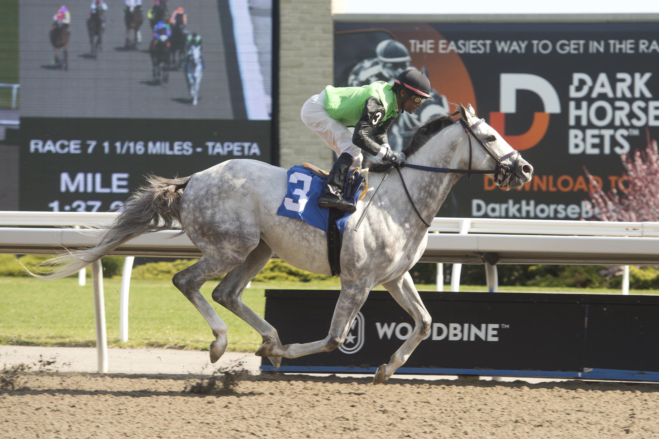 Tyson Enters G2 Seagram Cup in Top-Rank Form - Past The Wire