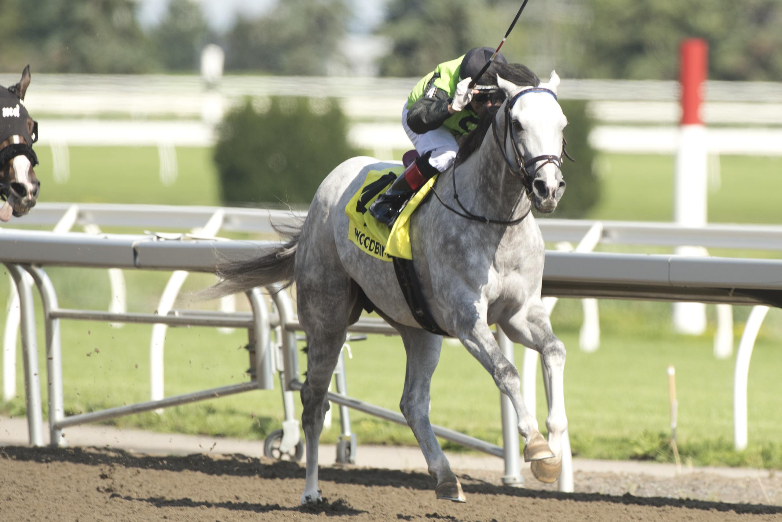 Carroll Sends Out Tyson, Duke of Love in G1 Jockey Club Gold Cup - Past ...